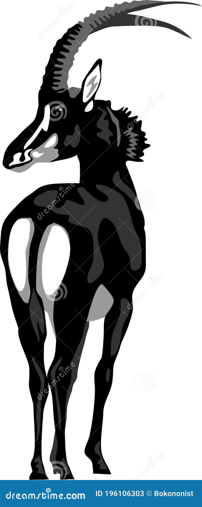 Sable Vector Illustration | CartoonDealer.com #56032982