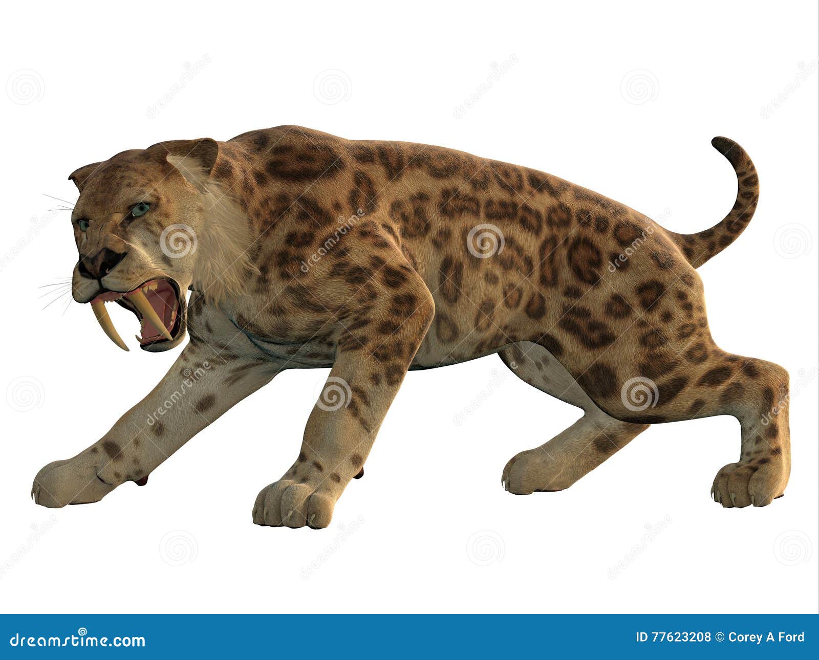 Sable-diente Cat Angry foto de archivo. Imagen de extinto - 77623208