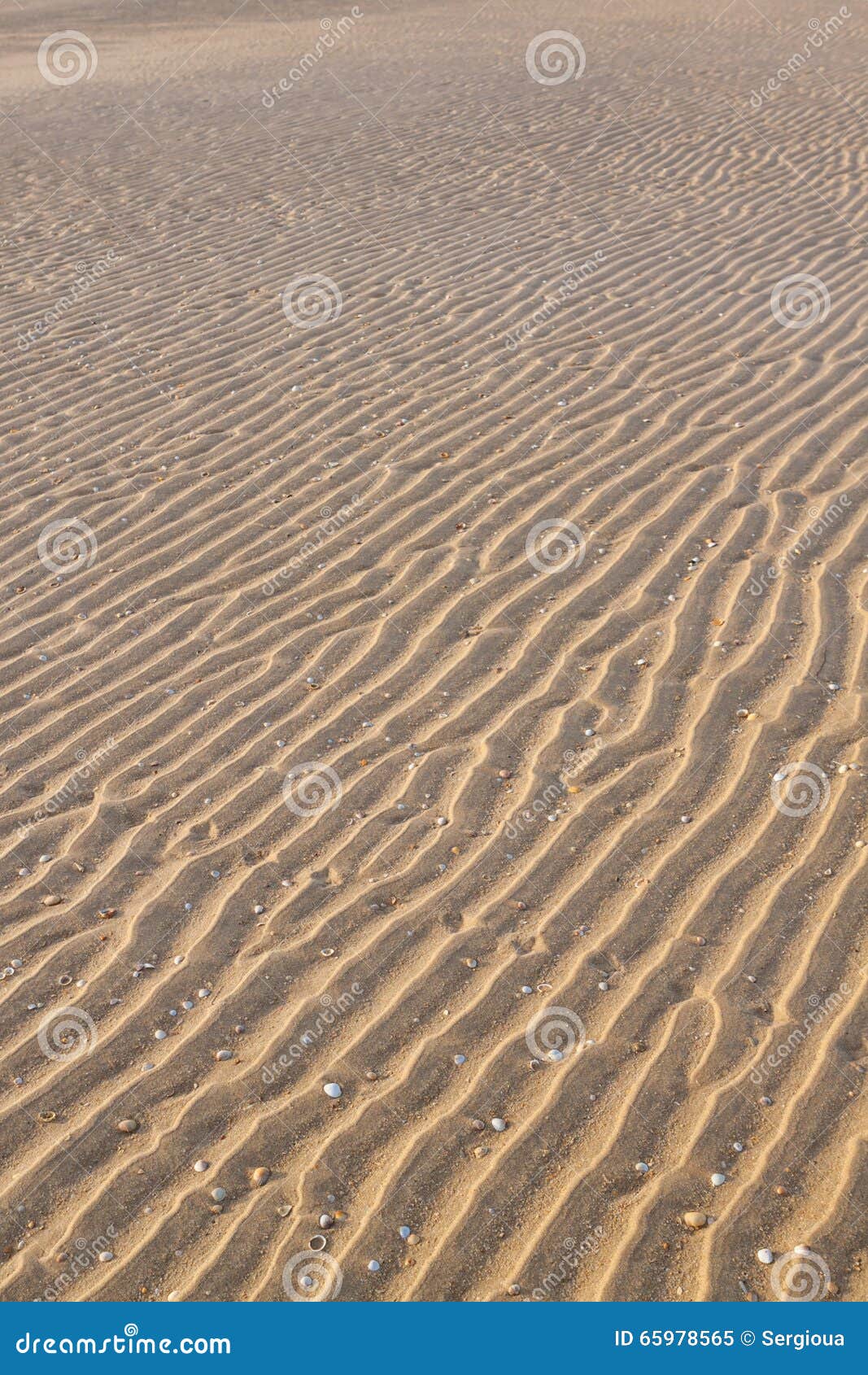Sable Onduleux De Texture Sur La Plage Image stock - Image du normal ...