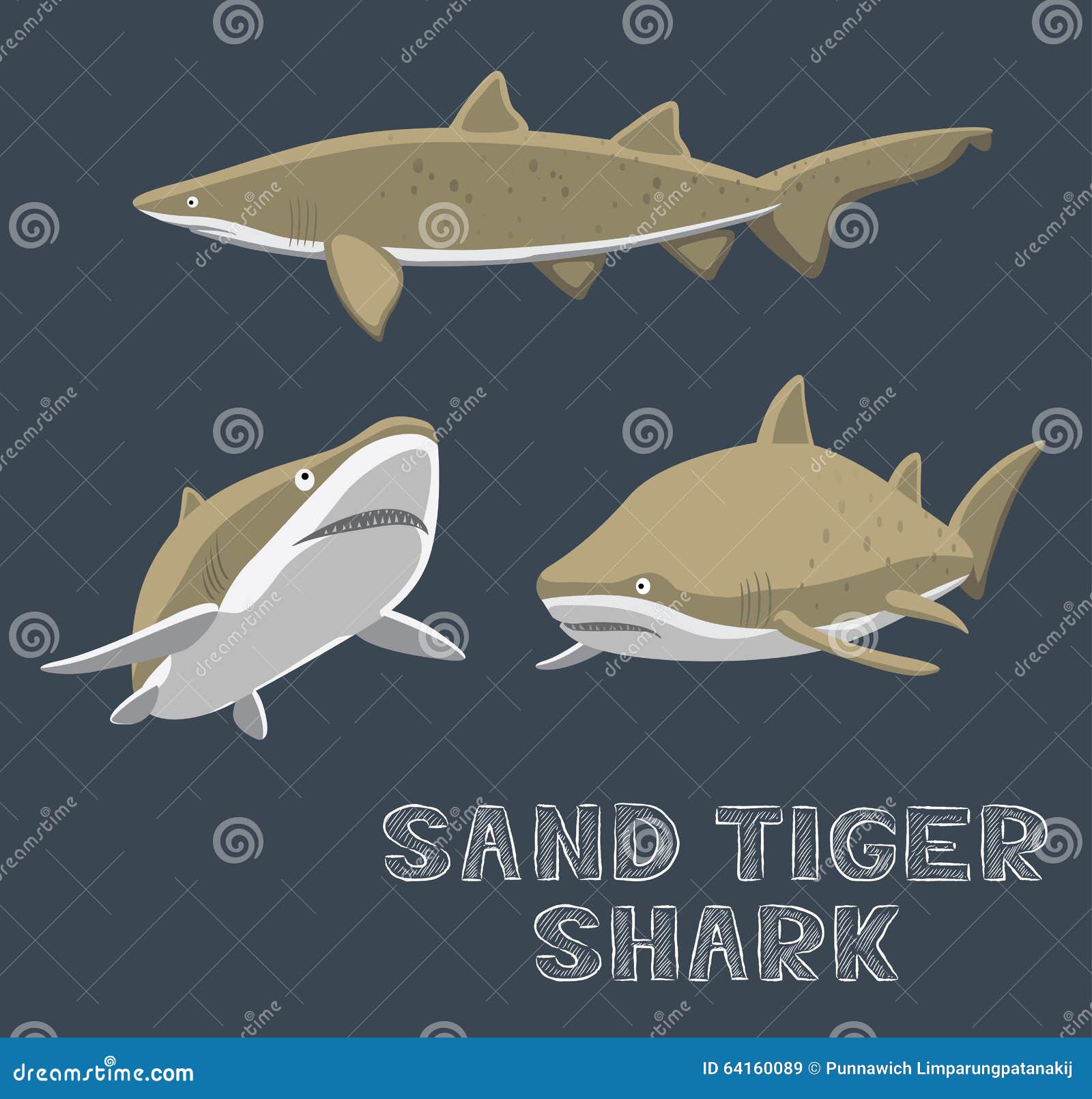 Sable Tiger Shark Cartoon Vector Illustration Illustration de Vecteur ...