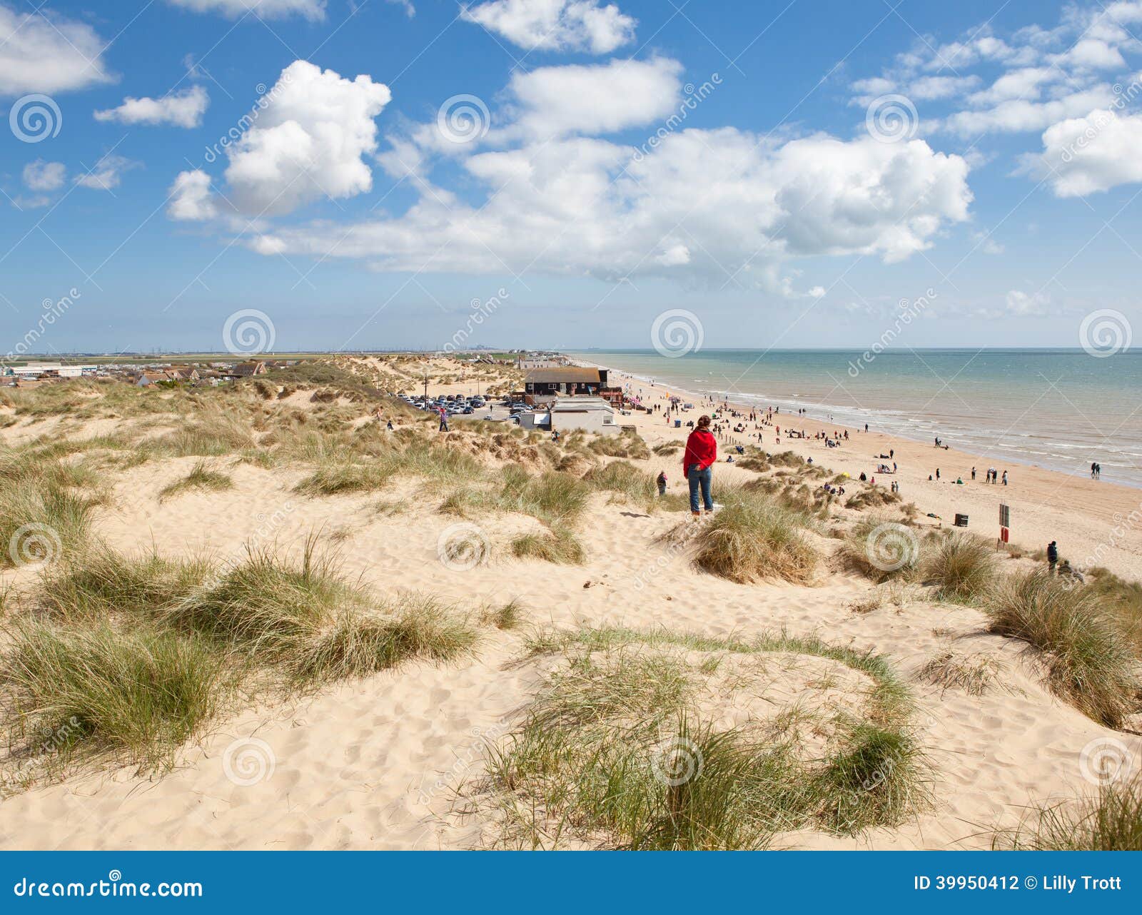 Sables De Cambrure, Cambrure : Dunes Et La Plage Photographie éditorial ...