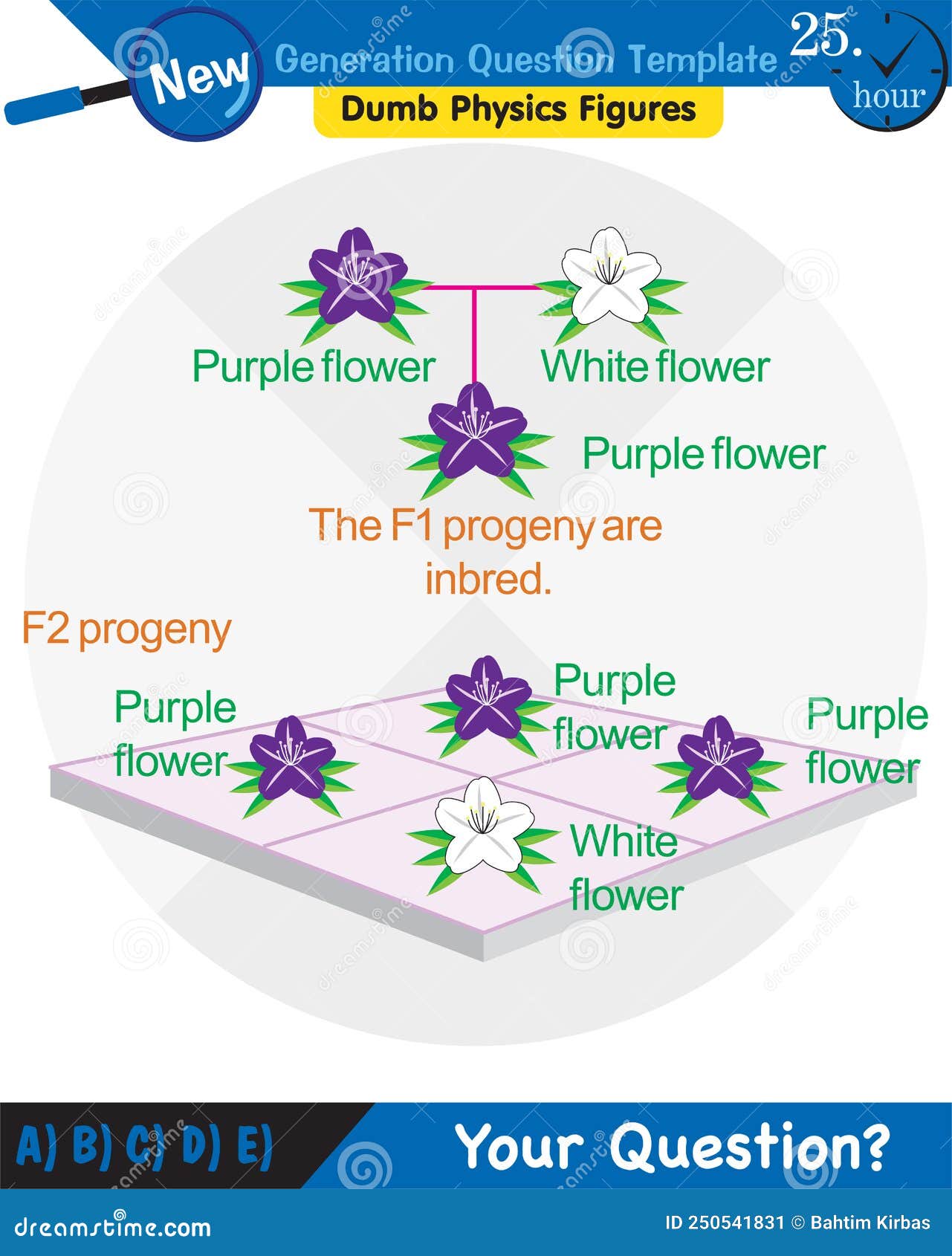 Biology, Heredity Combination, Next Generation Question Template Stock ...