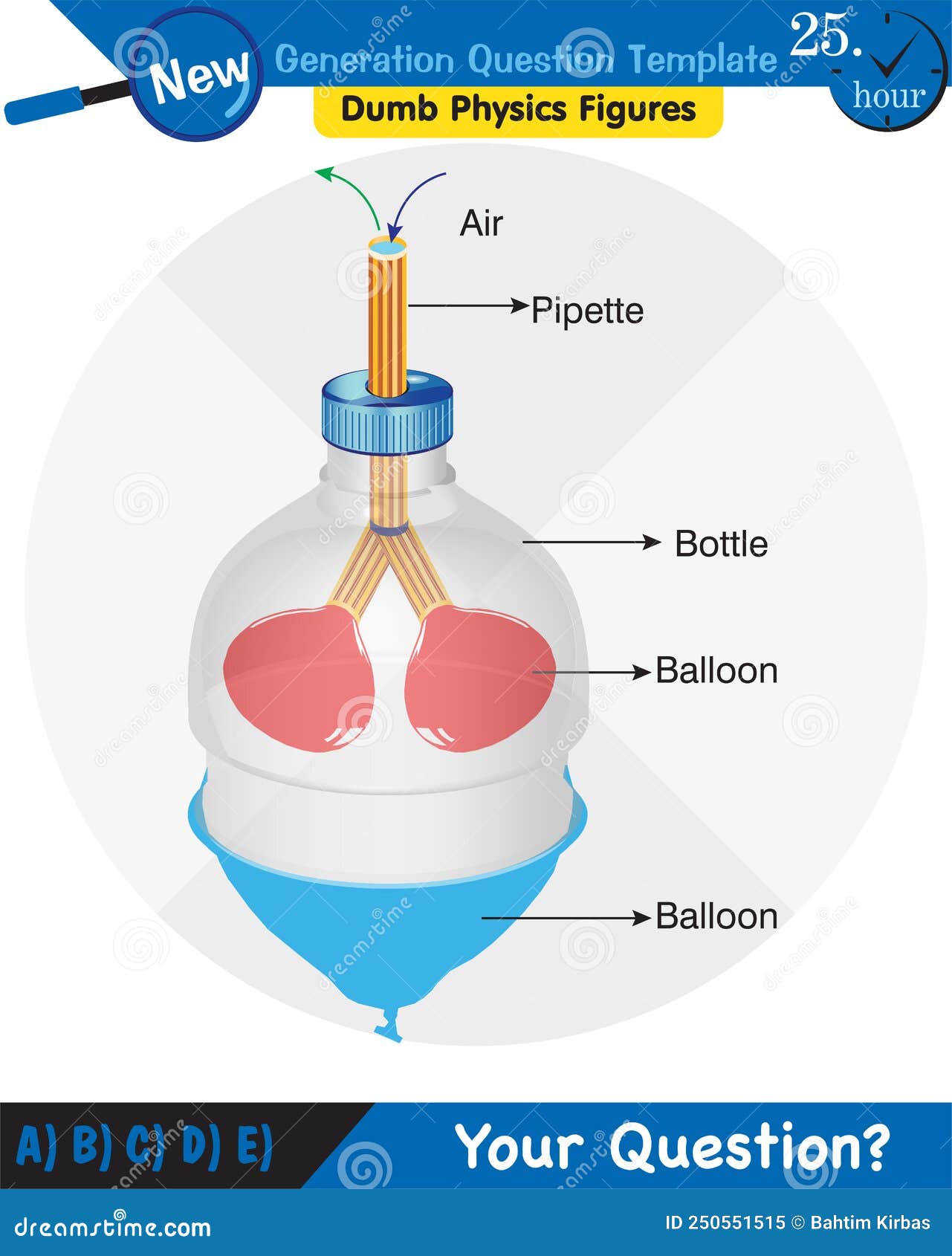 Biology, Vector Illustration of a Lung Breathing Model, Next Generation ...