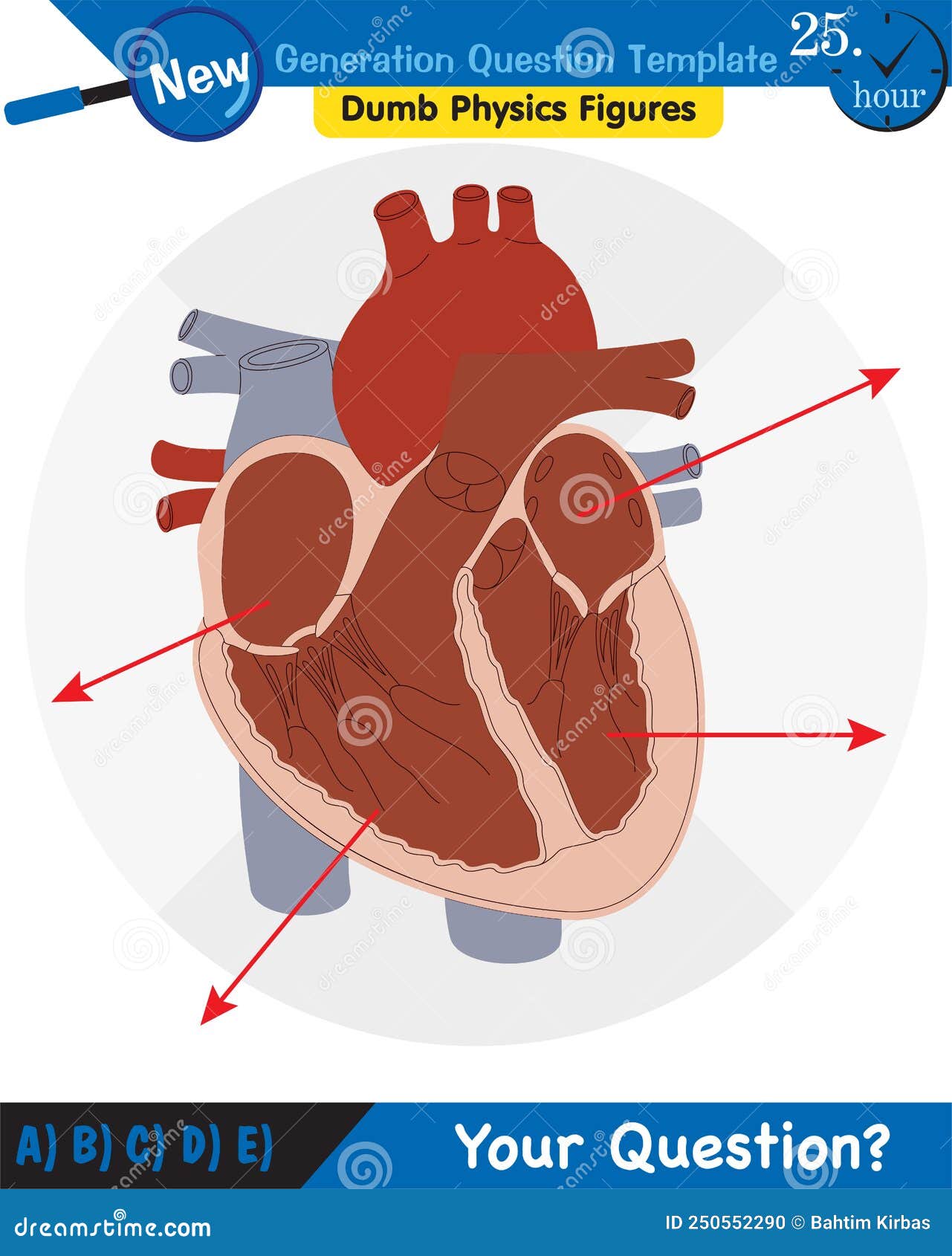 Biology, Parts of the Heart, Next Generation Question Template Stock ...