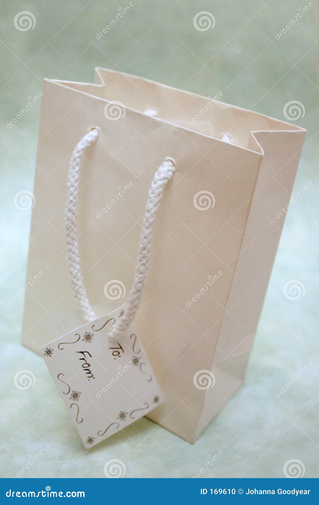 Sac de cadeau photo stock. Image du bagged, réception, mail - 169610