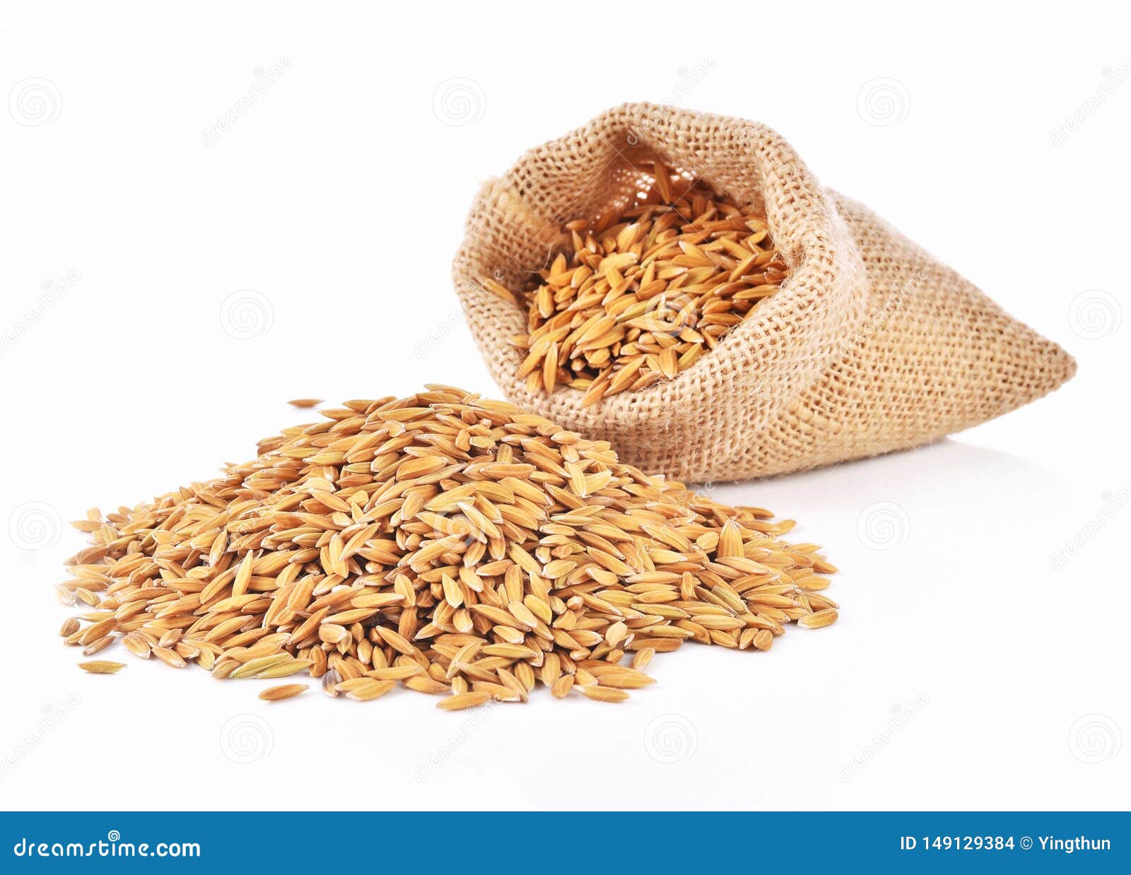 Sac De Paddy Sur Le Fond Blanc Photo stock - Image du isolement ...