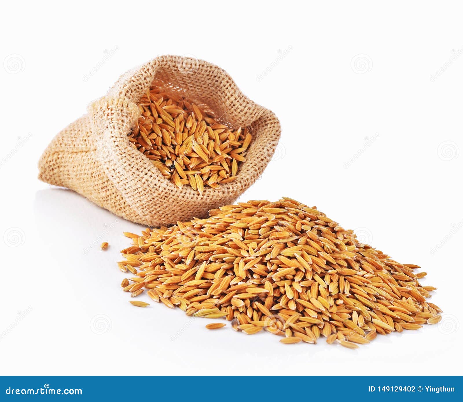 Sac De Paddy Sur Le Fond Blanc Photo stock - Image du moisson, texture ...