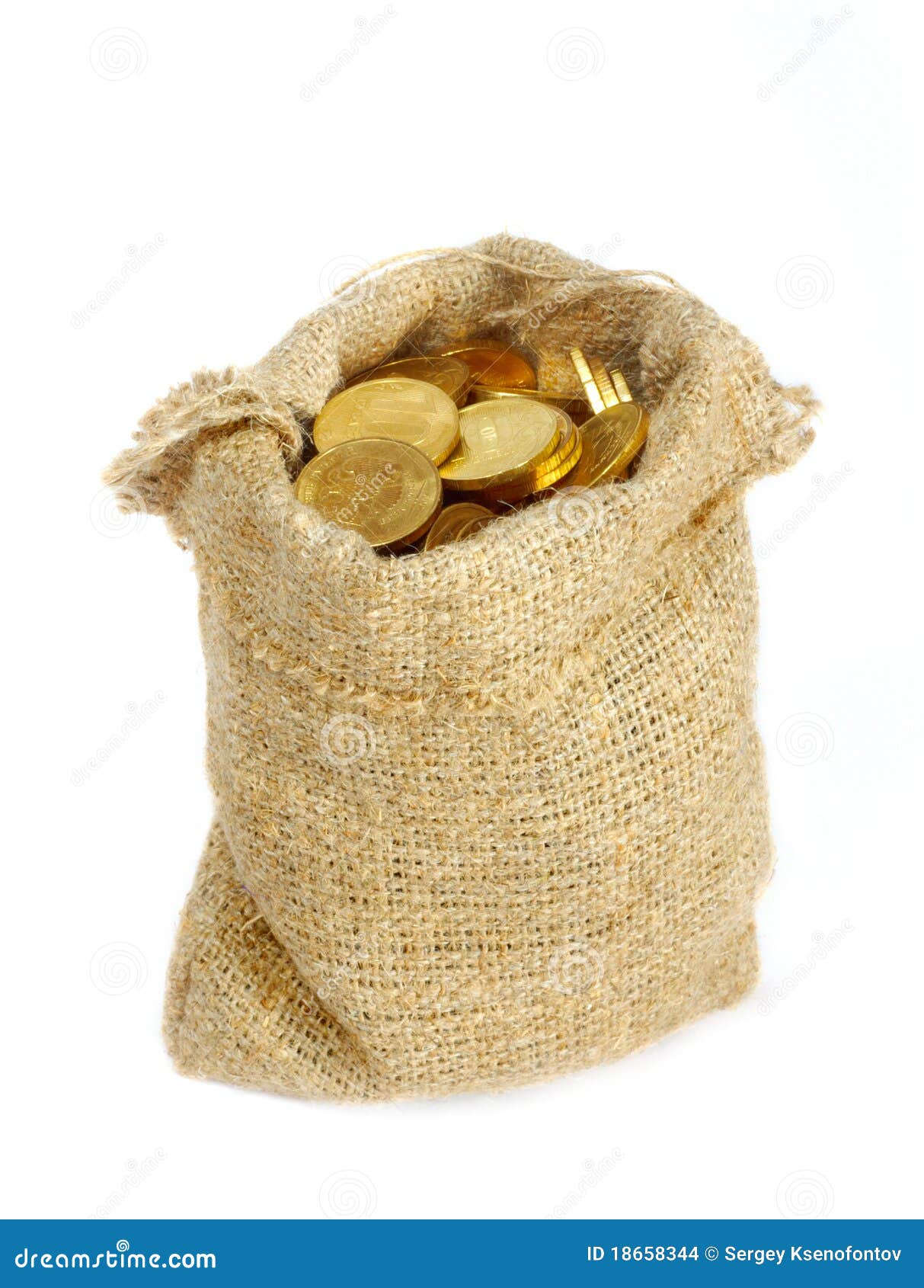 Sacchetto Con Le Monete Di Oro Fotografia Stock - Immagine di dorato ...