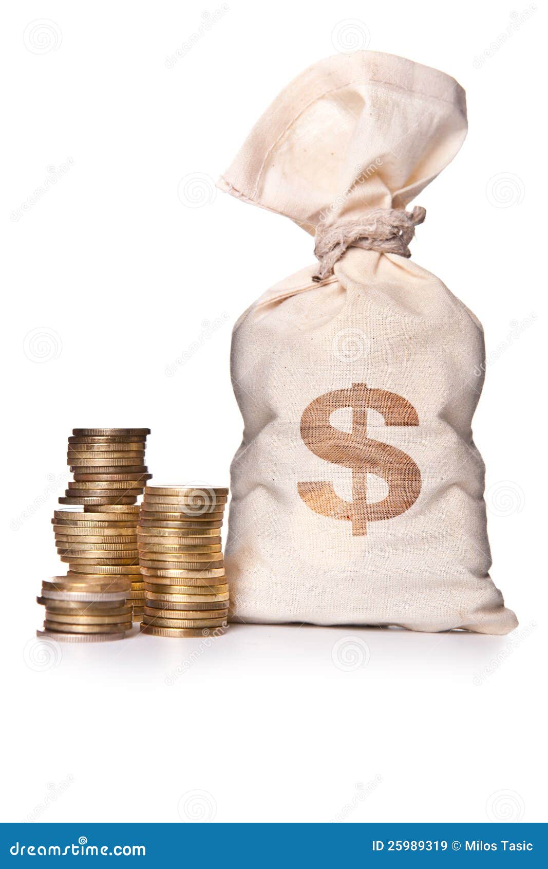 Sacchetto dei soldi immagine stock. Immagine di euro - 25989319