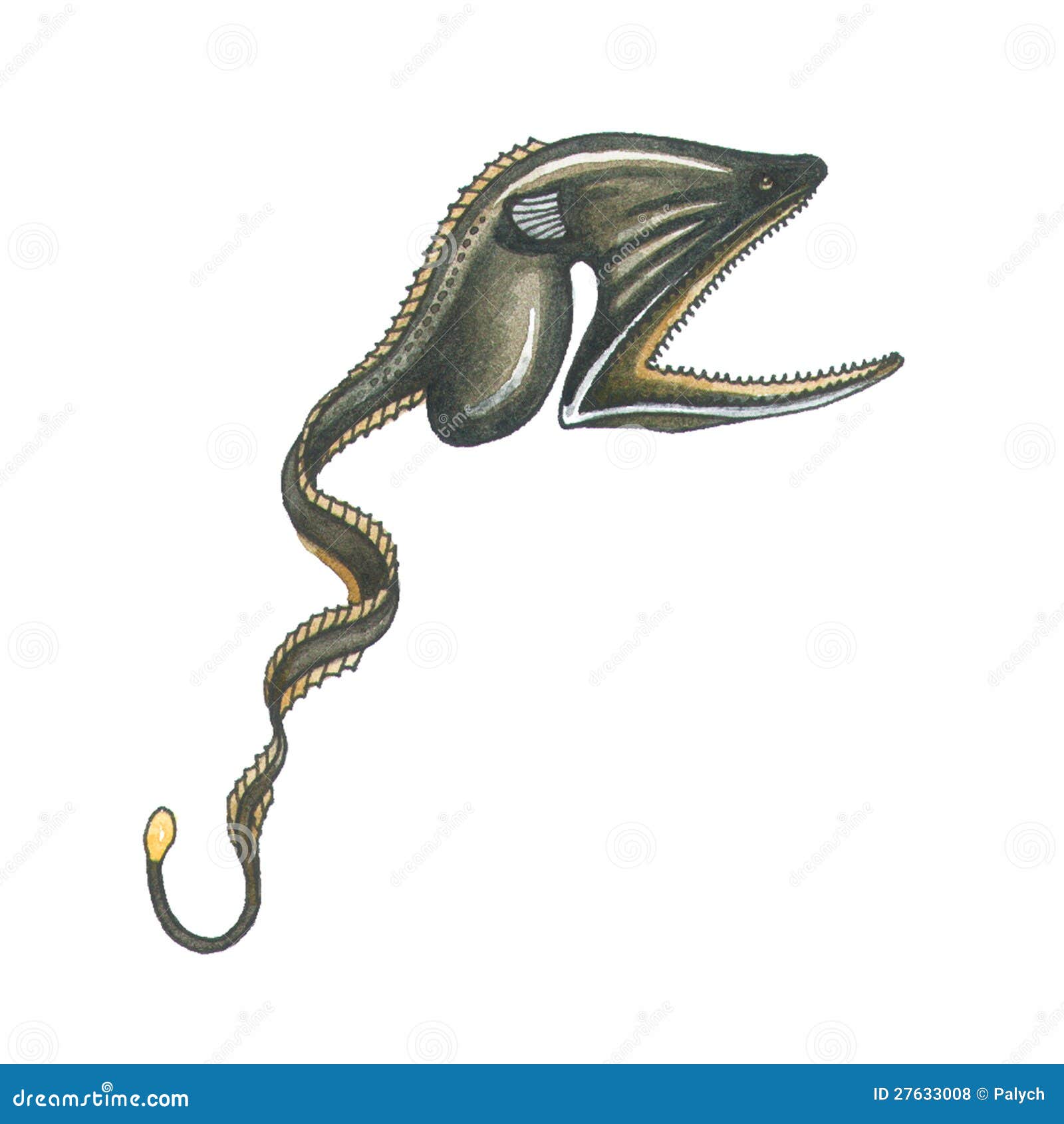 Saccopharyngiformes stock photo. Image of body, fish - 27633008