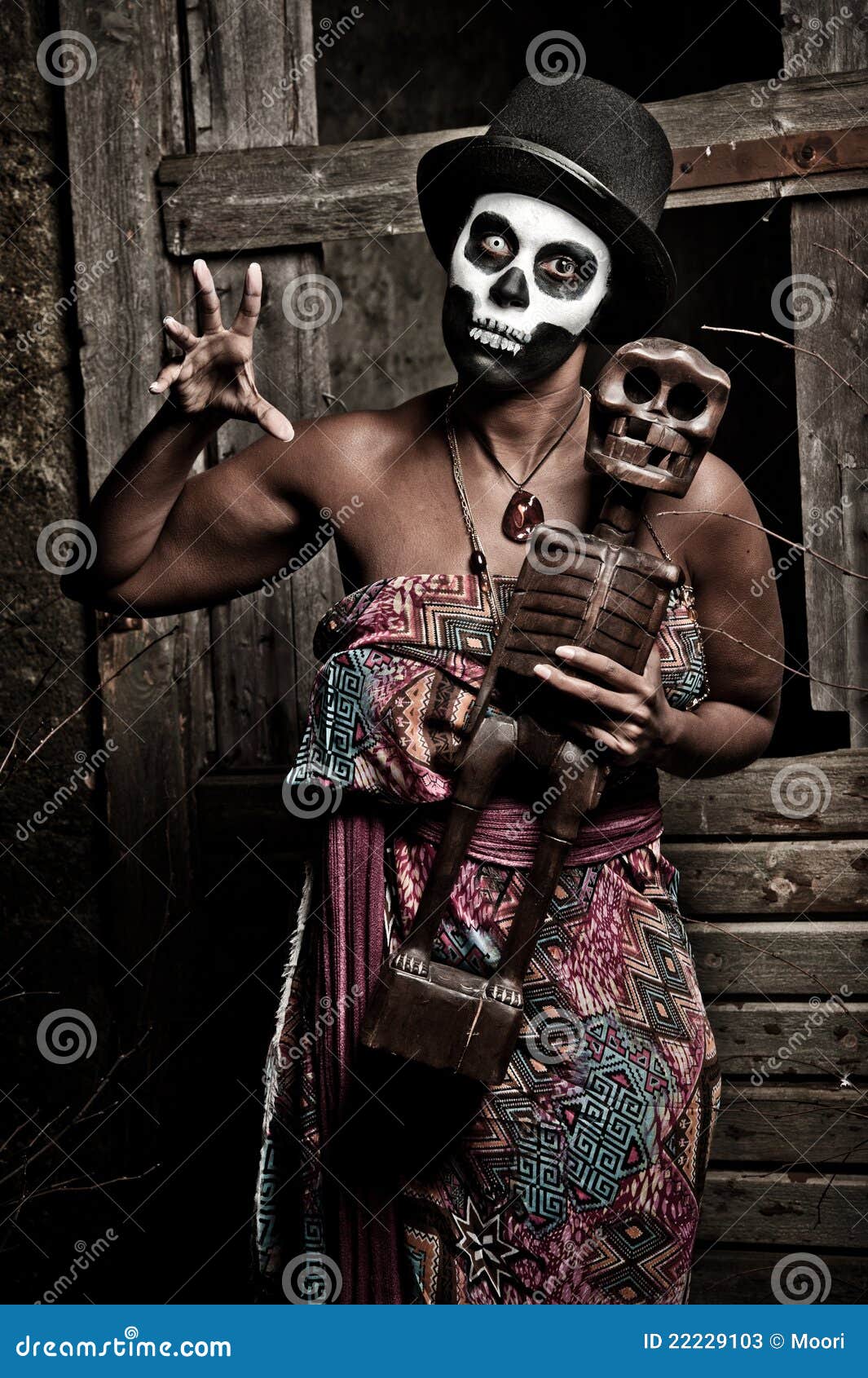 Sacerdotisa del vudú imagen de archivo. Imagen de cruel - 22229103