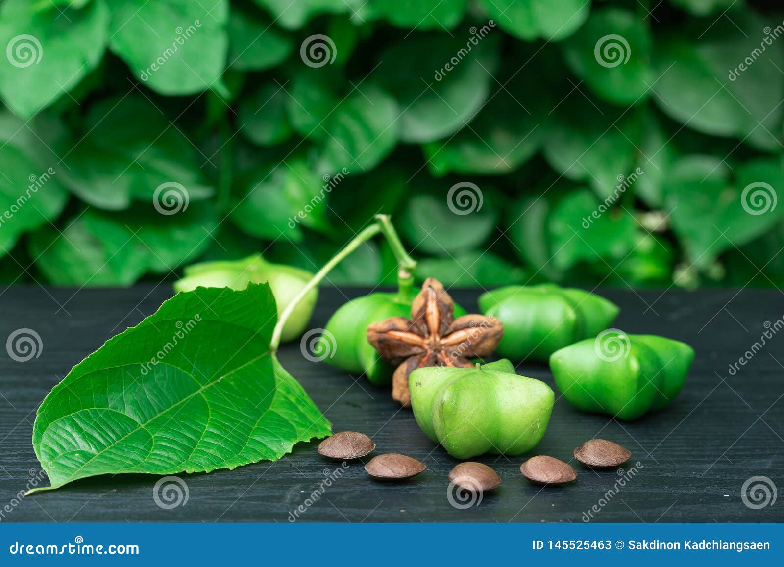 Sacha Inchi, Fresh Capsule Seeds Fruit Stock Image - Image of mountain ...