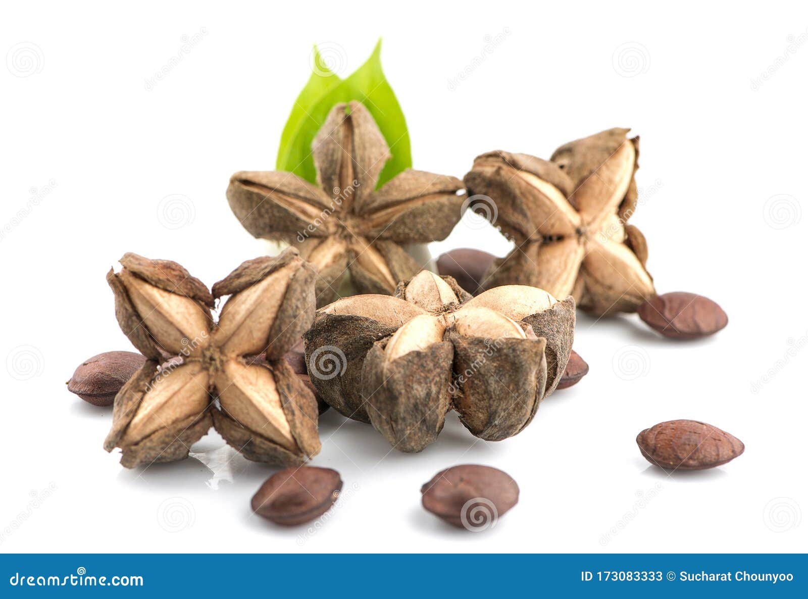 Sacha Inchi an Isolated on White Background Stock Image - Image of ripe ...