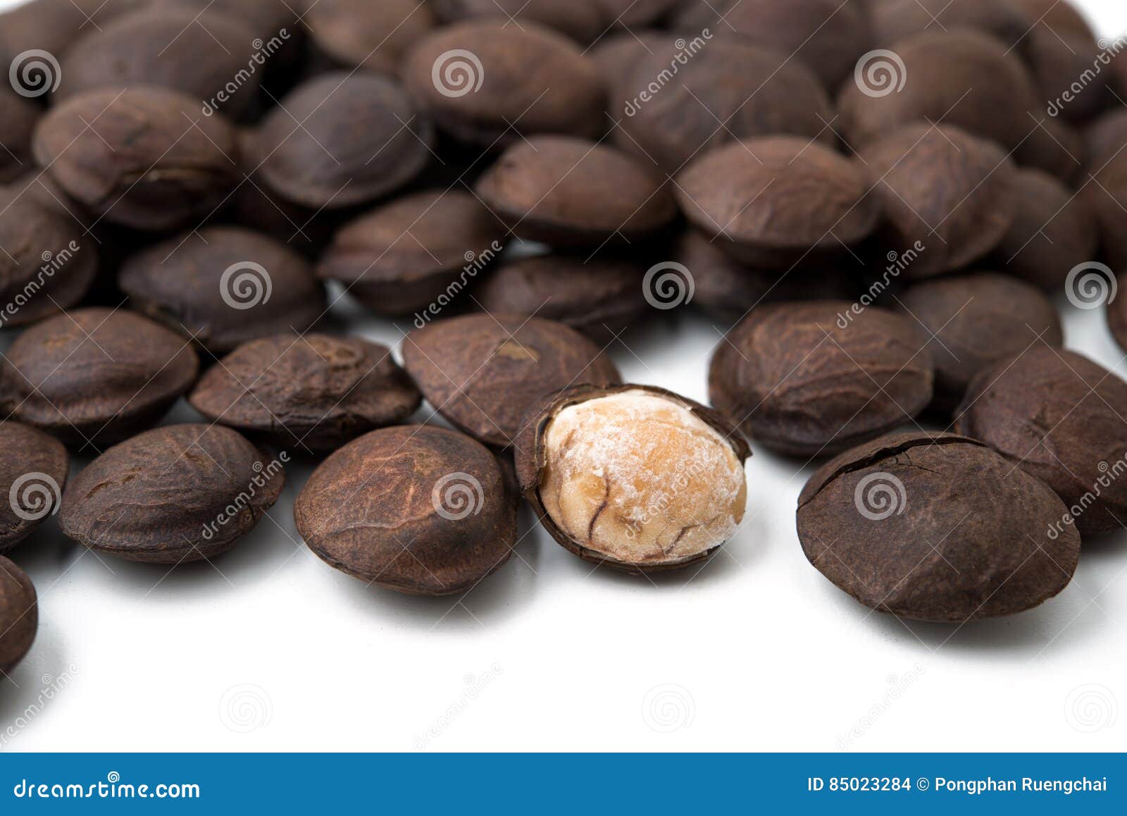 Sacha inchi peanut stock photo. Image of star, white - 85023284