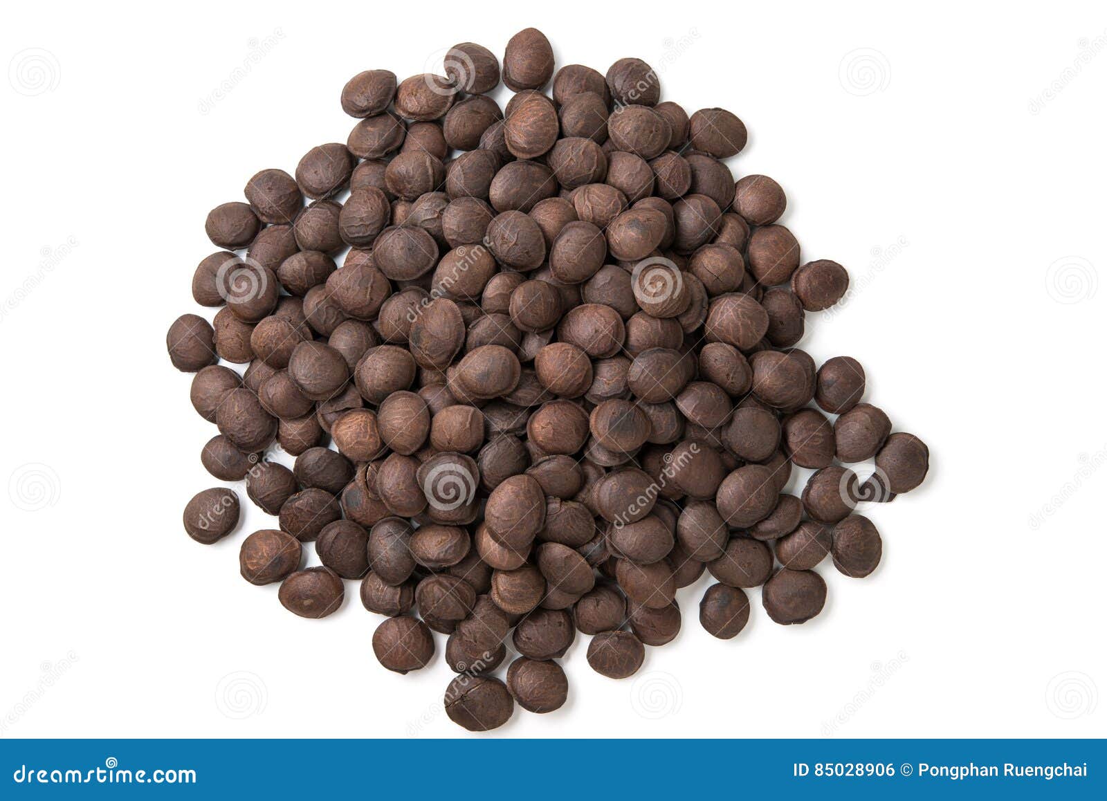 Sacha inchi peanut stock photo. Image of peanut, sapling - 85028906