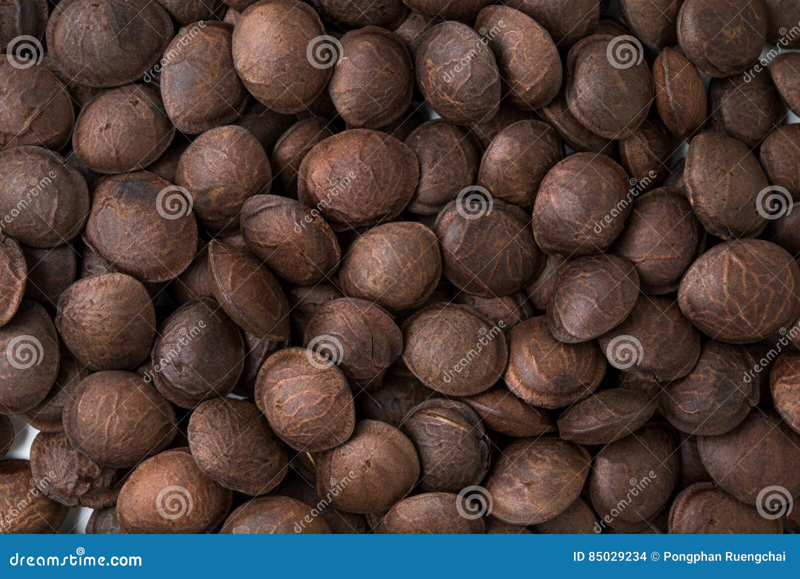 Sacha inchi peanut stock photo. Image of closeup, fruit - 85029234