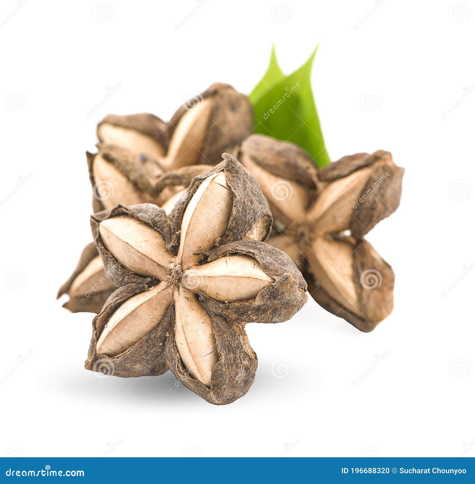 Sacha Inchi Peanut Seed Isolate on White Background Stock Photo - Image ...