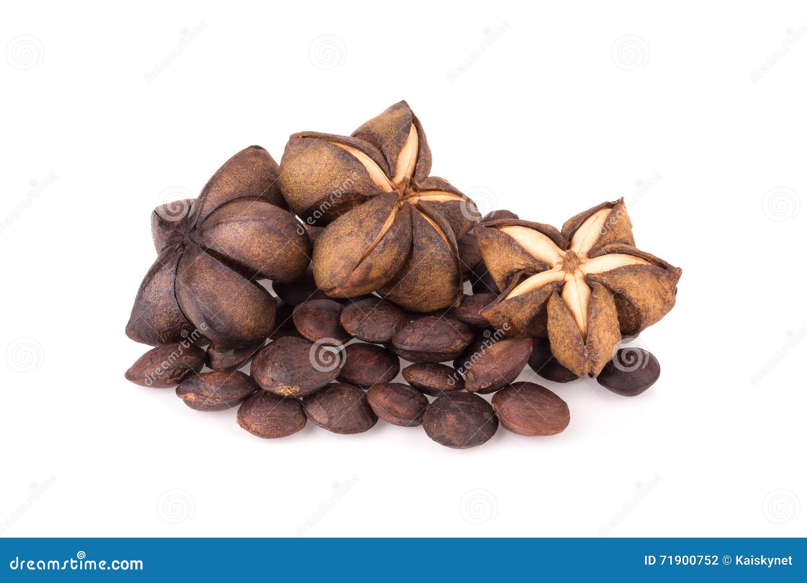 Sacha Inchi Peanut Seed Isolate on White Background Stock Photo - Image ...