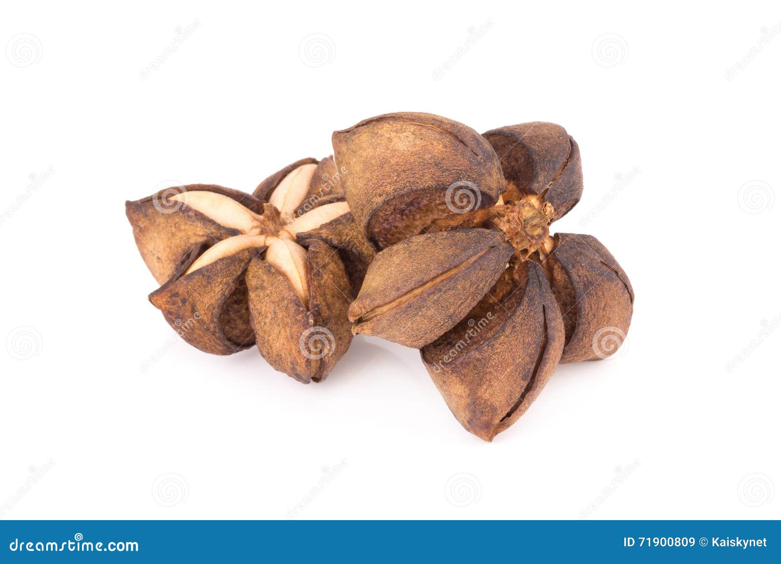 Sacha Inchi Peanut Seed Isolate on White Background Stock Image - Image ...