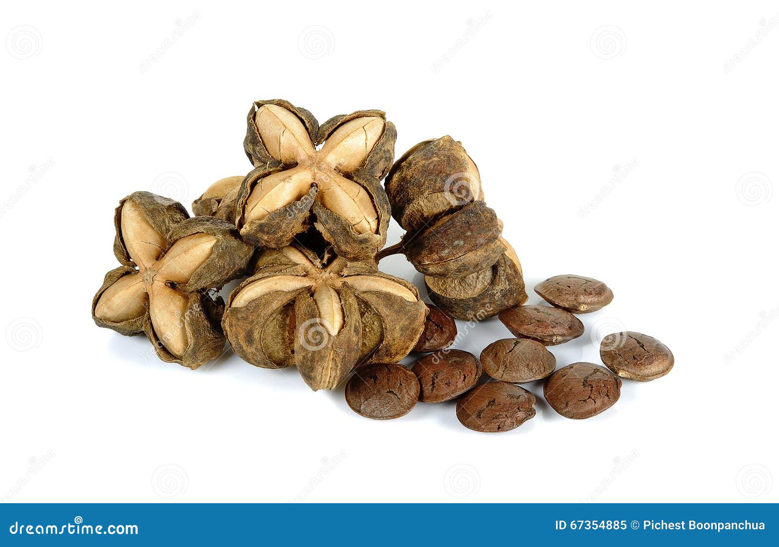 Sacha Inchi Peanut Seed on White Background Stock Image - Image of ...
