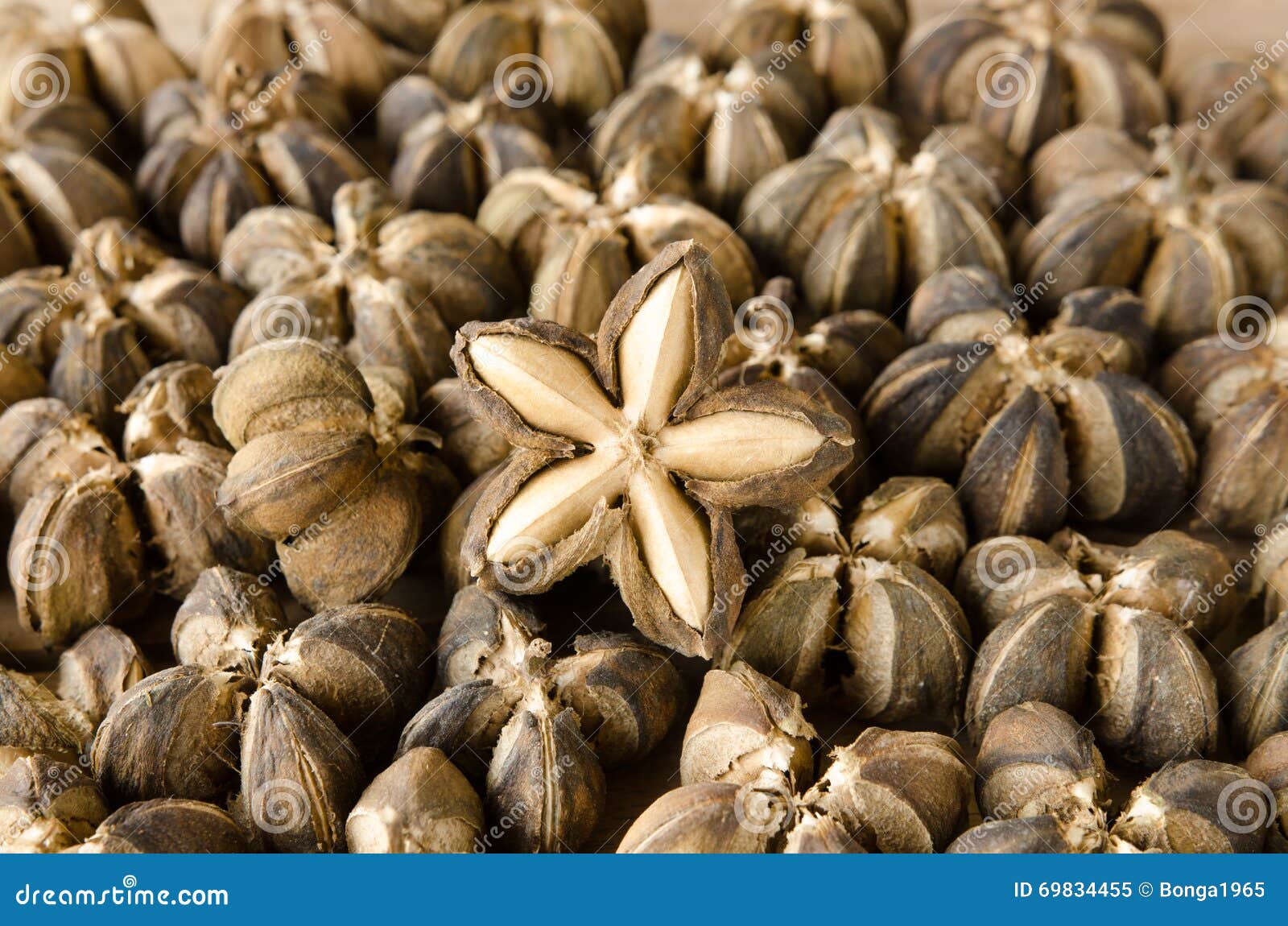 Sacha inchi seeds stock image. Image of young, natural - 69834455