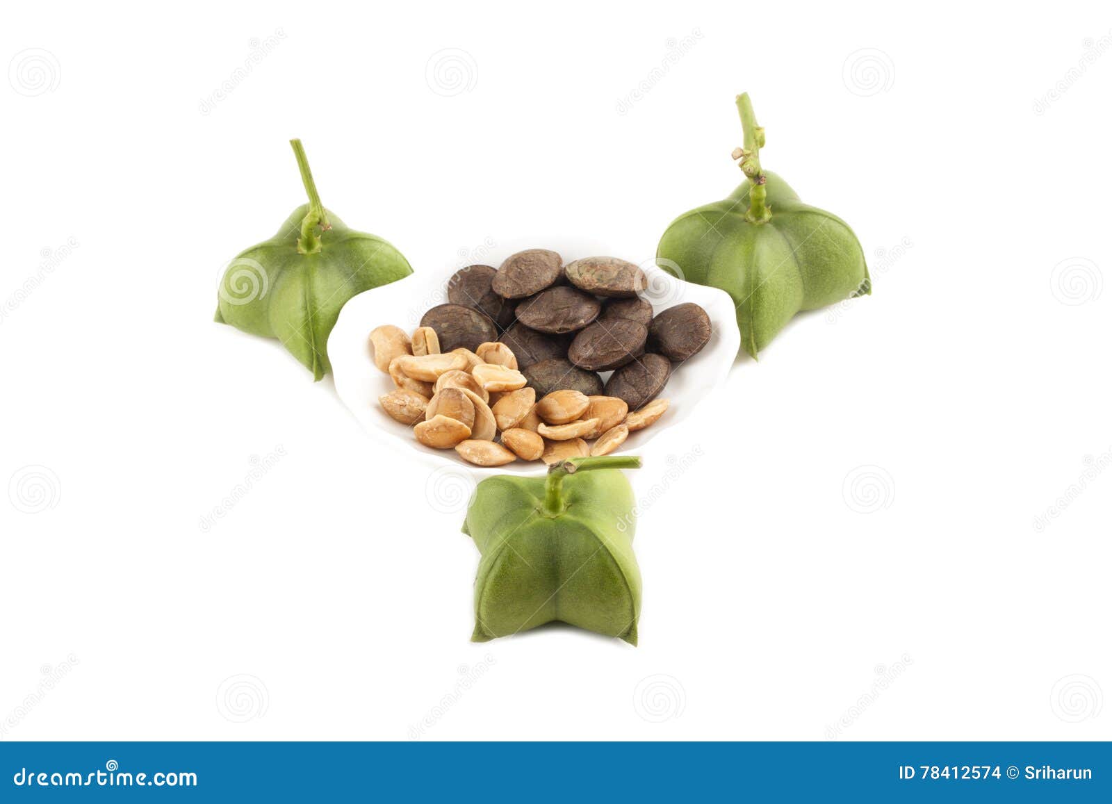 Sacha inchi seeds stock photo. Image of capsule, legume - 78412574