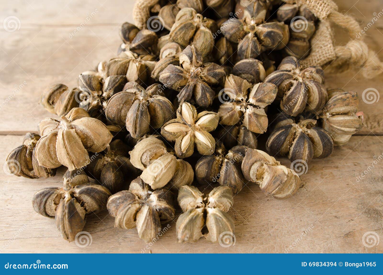 Sacha inchi seeds stock photo. Image of plukenetia, vitamin - 69834394