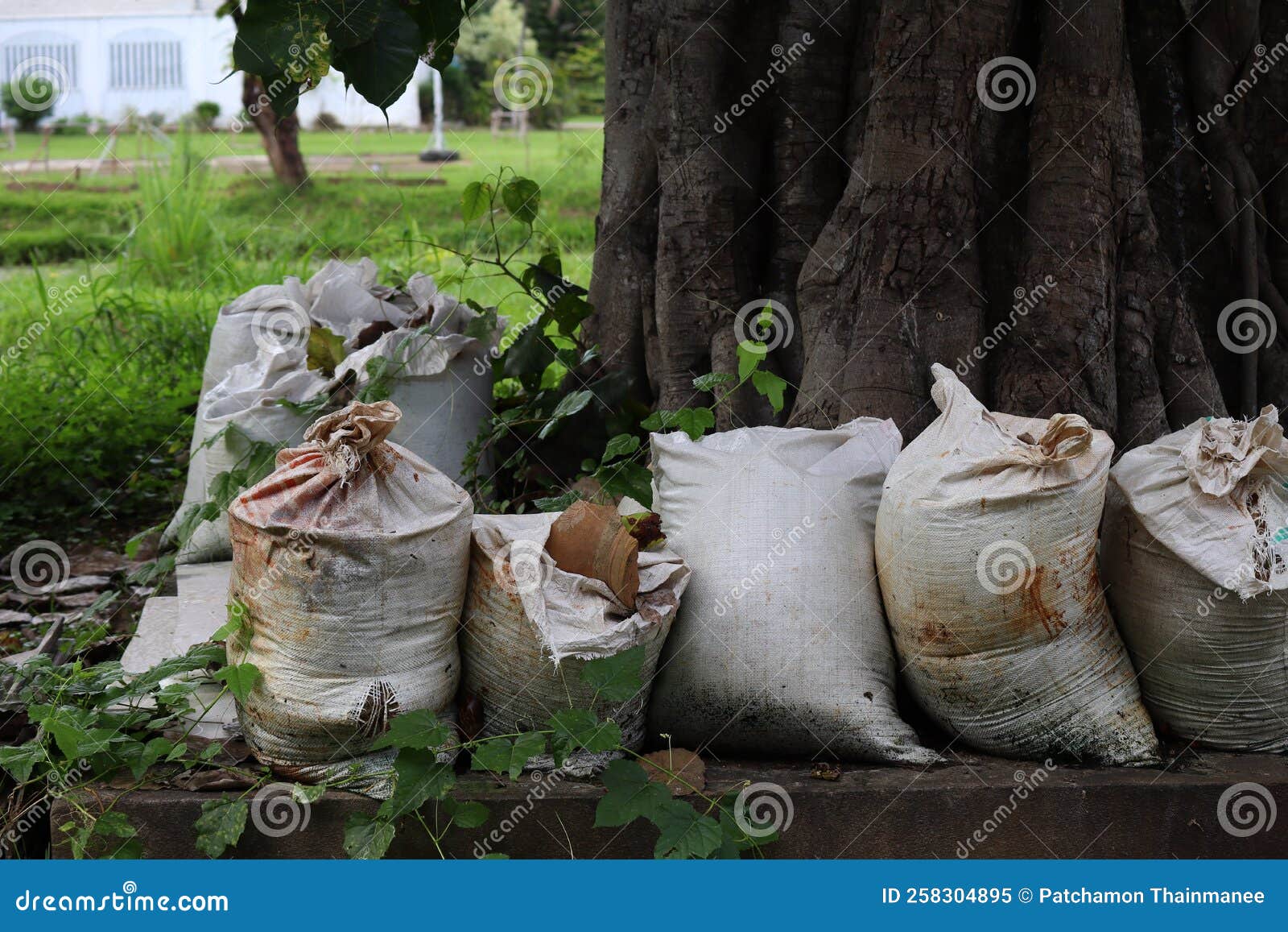 Sack Bags Filled with Sand for Flooding. Stock Image - Image of plant ...