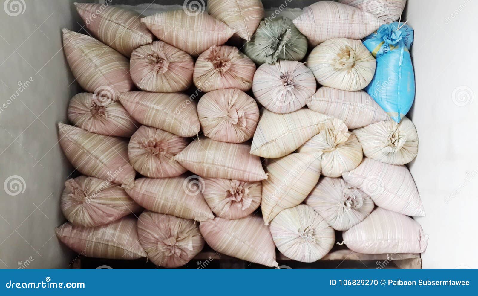 The Sack Containing the Paddy Stock Photo - Image of storage, food ...