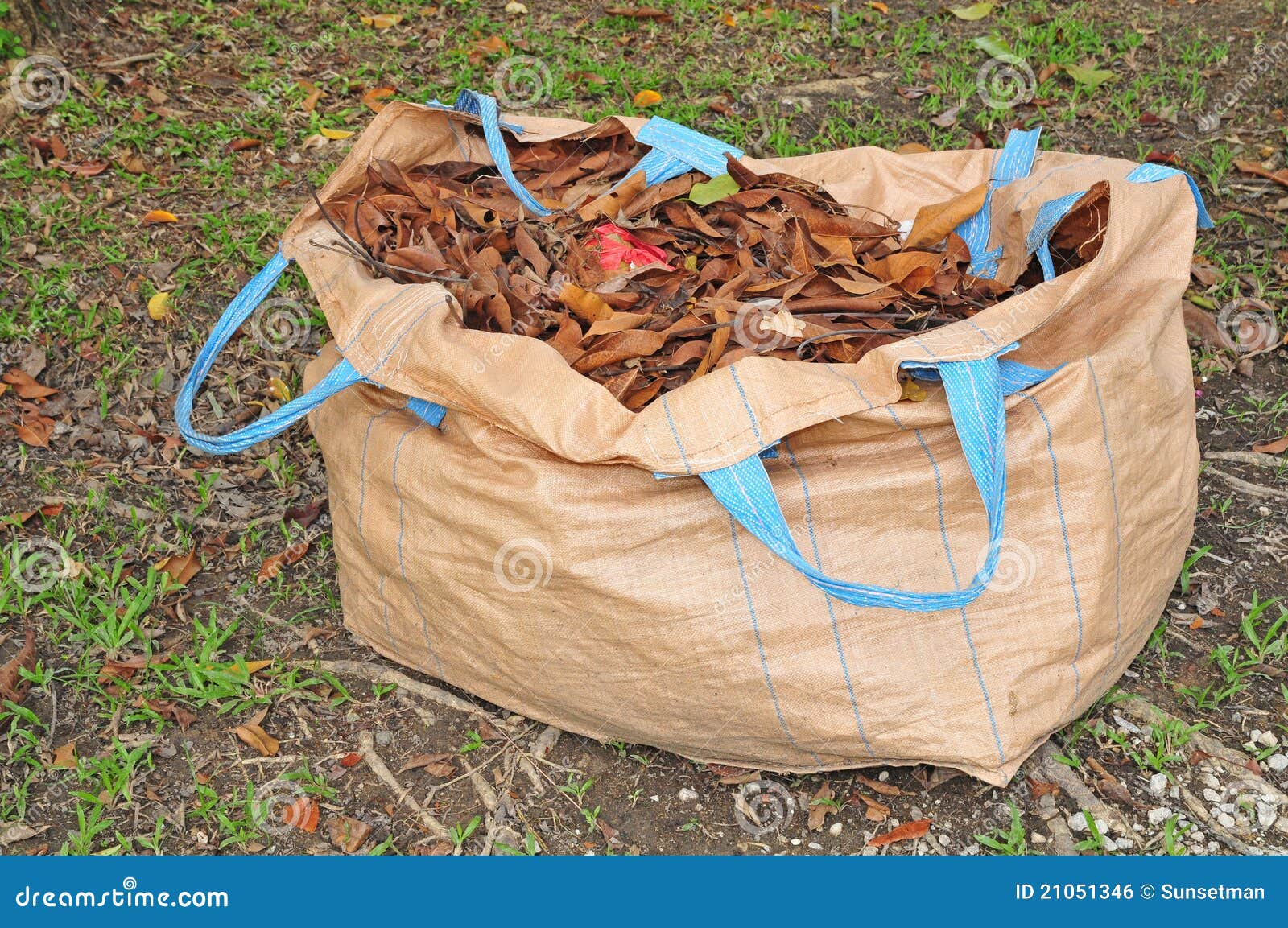 A Sack of Dried Leaves stock photo. Image of autumn, forest - 21051346