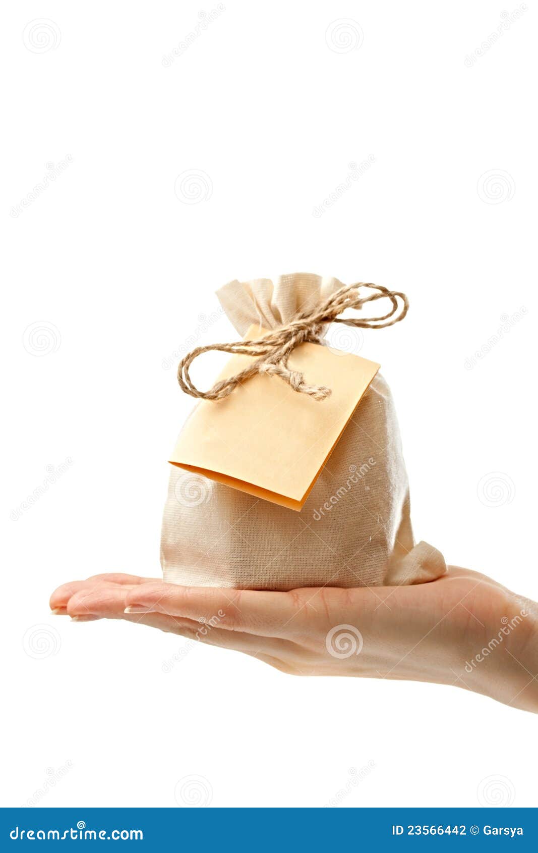 Sack in female hand stock photo. Image of human, holiday - 23566442