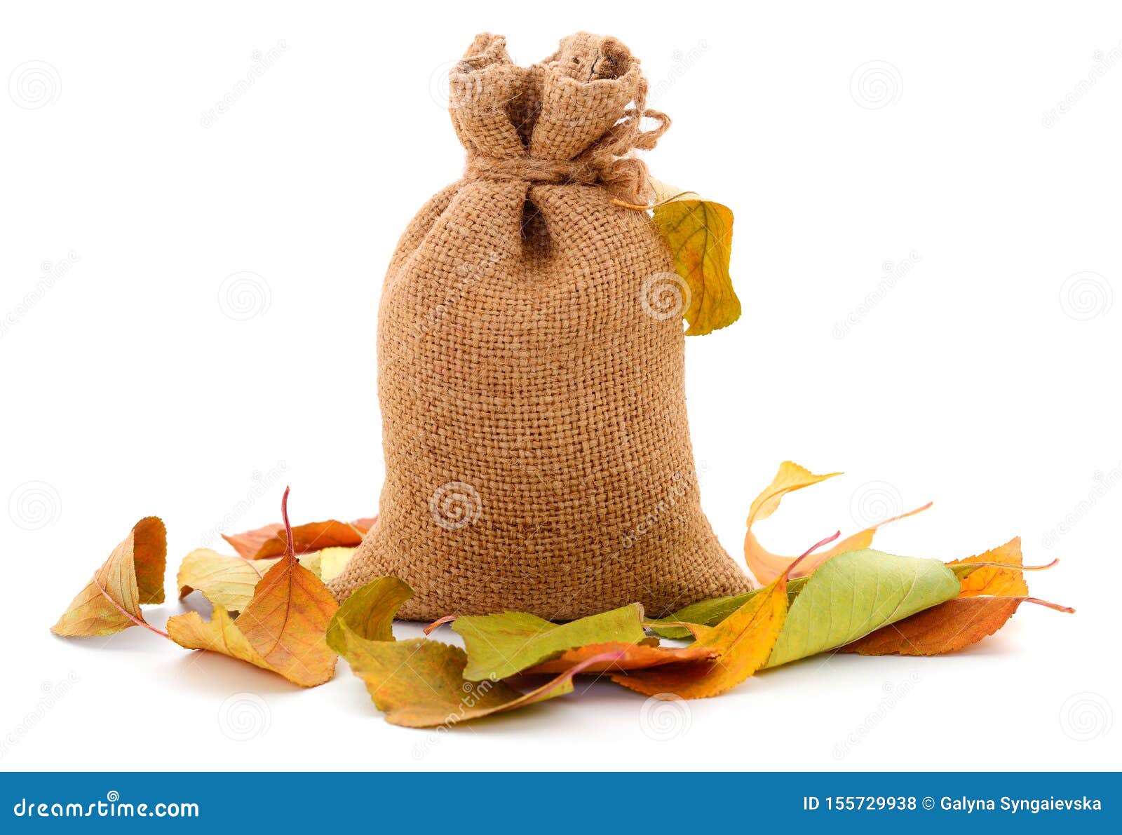 Sack with grains stock photo. Image of grain, harvest - 155729938