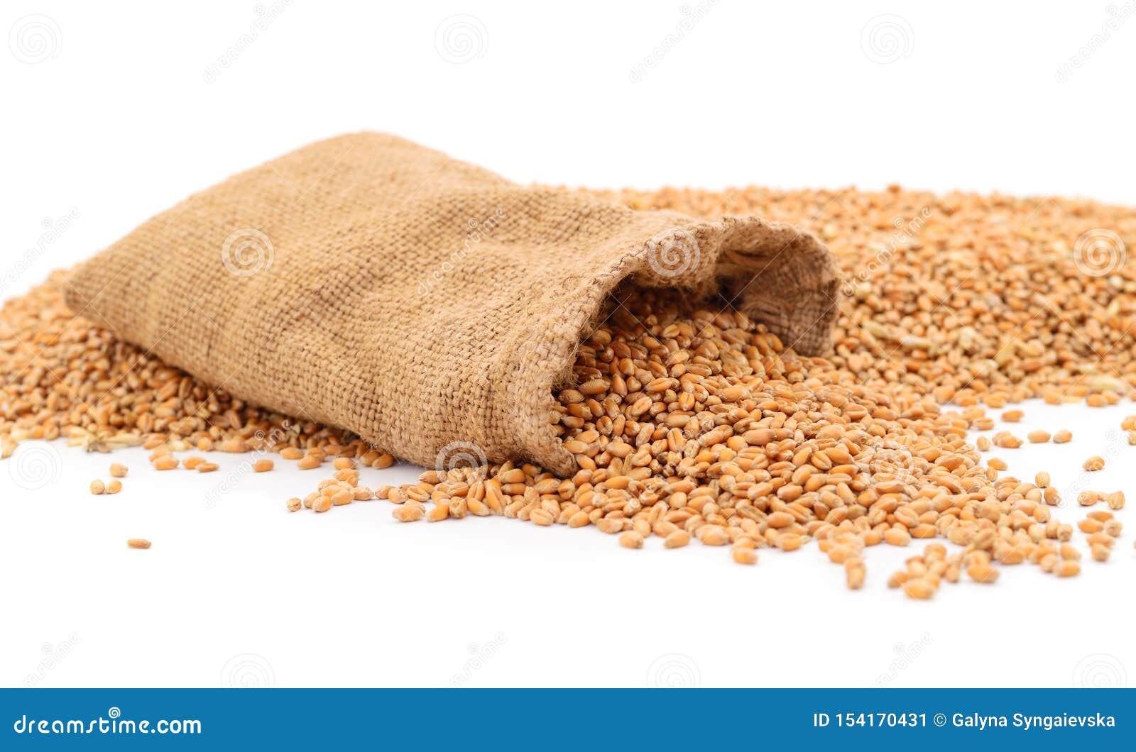 Sack with grains of wheat stock image. Image of pile - 154170431
