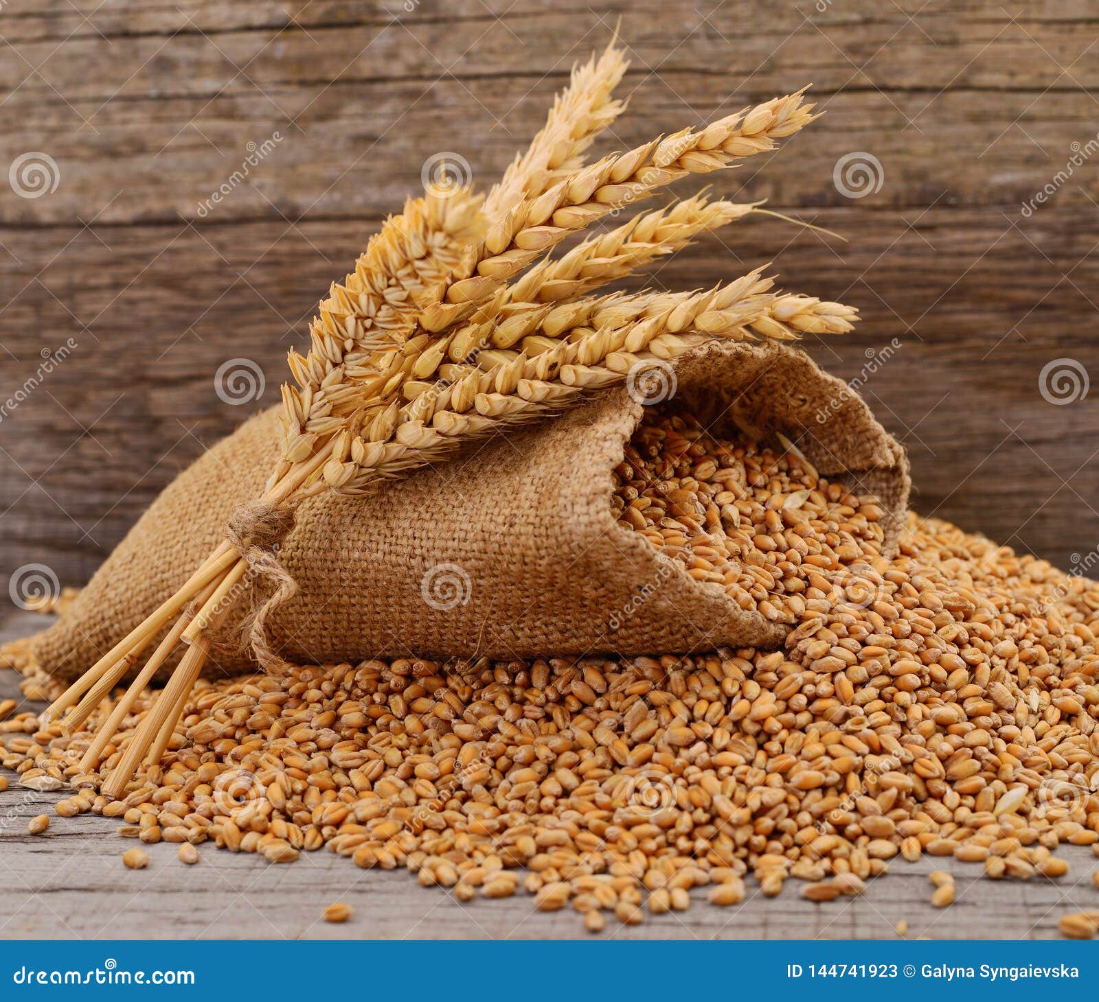 Sack with Grains and Ear of Wheat Stock Image - Image of background ...