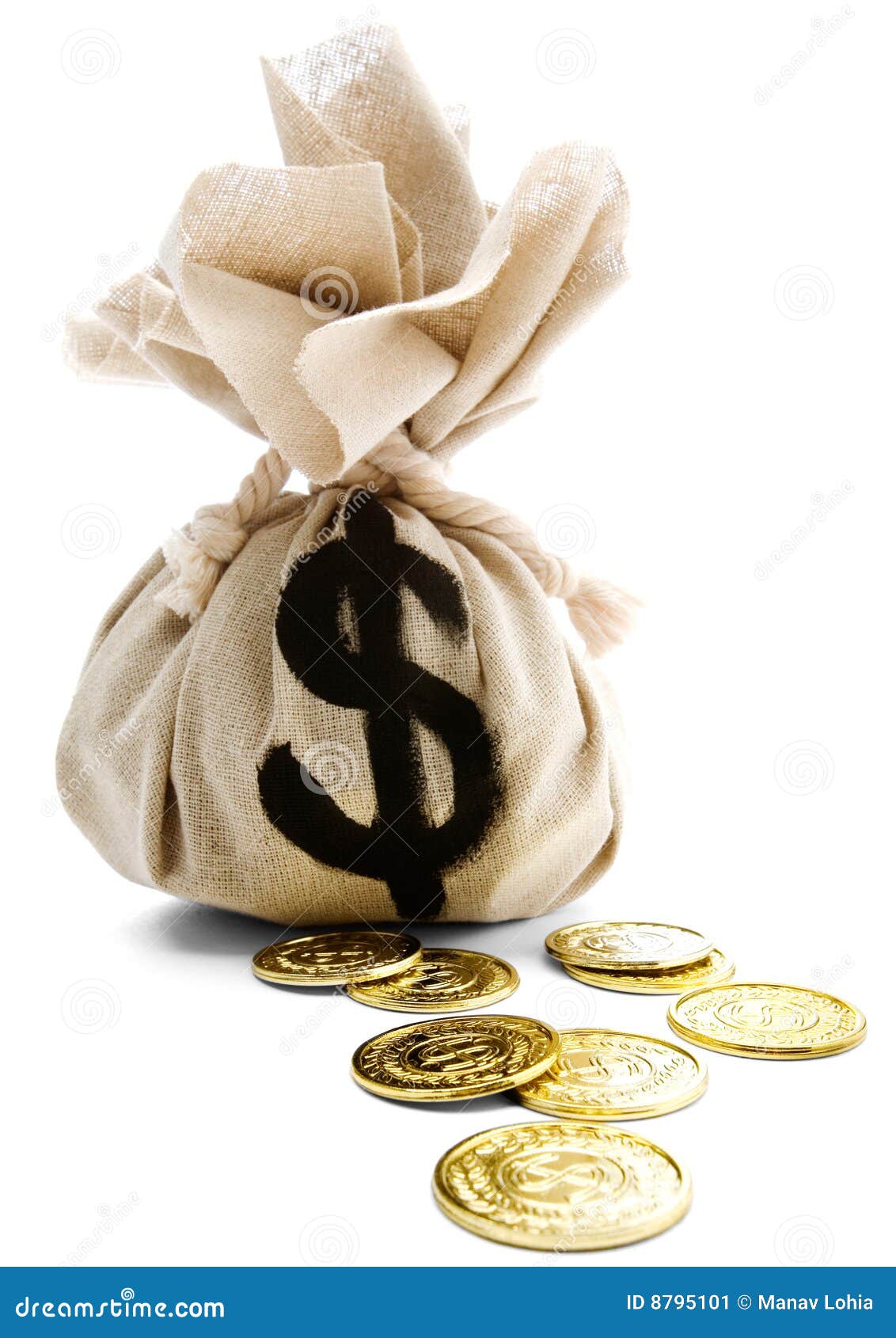 Sack mit Dollar-Zeichen stockbild. Bild von sack, geld - 8795101