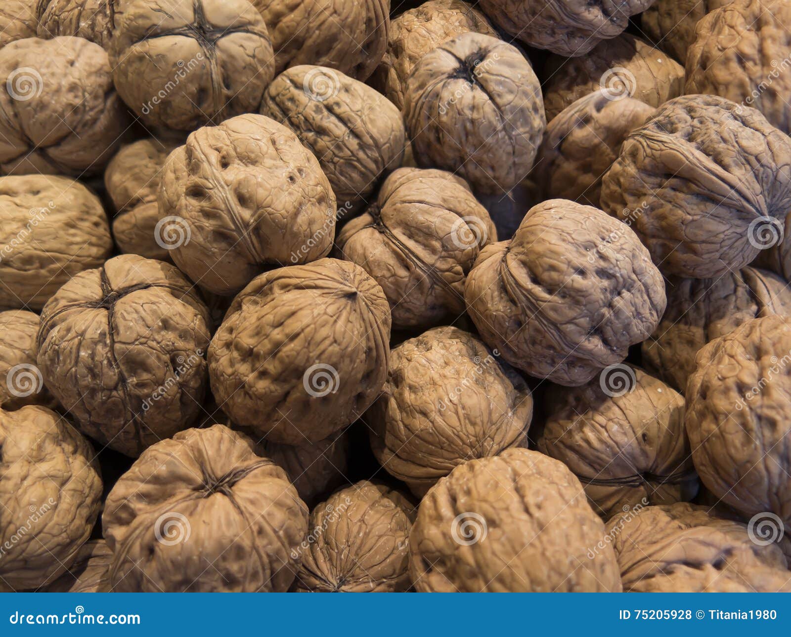 Sack of nuts stock photo. Image of dried, heap, organic - 75205928