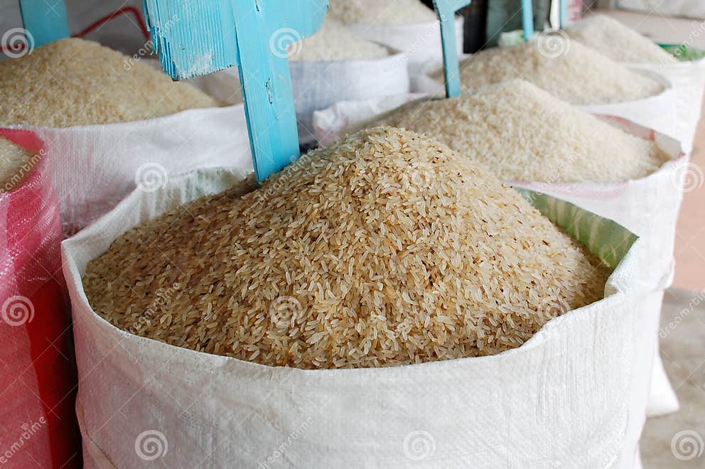 Sack of Rice stock photo. Image of grain, paddy, sack - 15508382