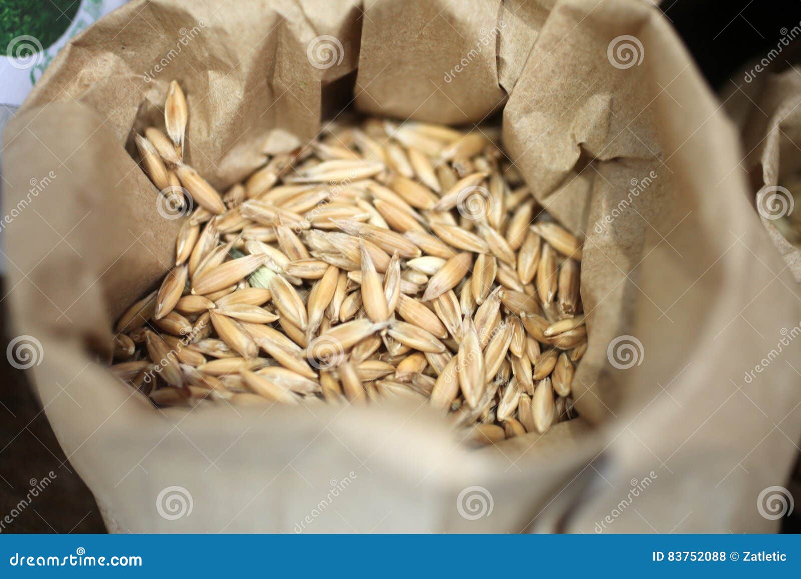 Sack with wheat grains stock photo. Image of background - 83752088
