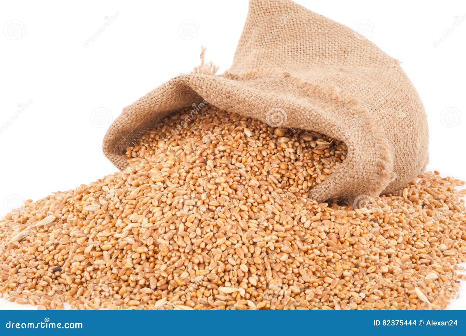 Sack of wheat grains stock photo. Image of kernels, energy - 82375444