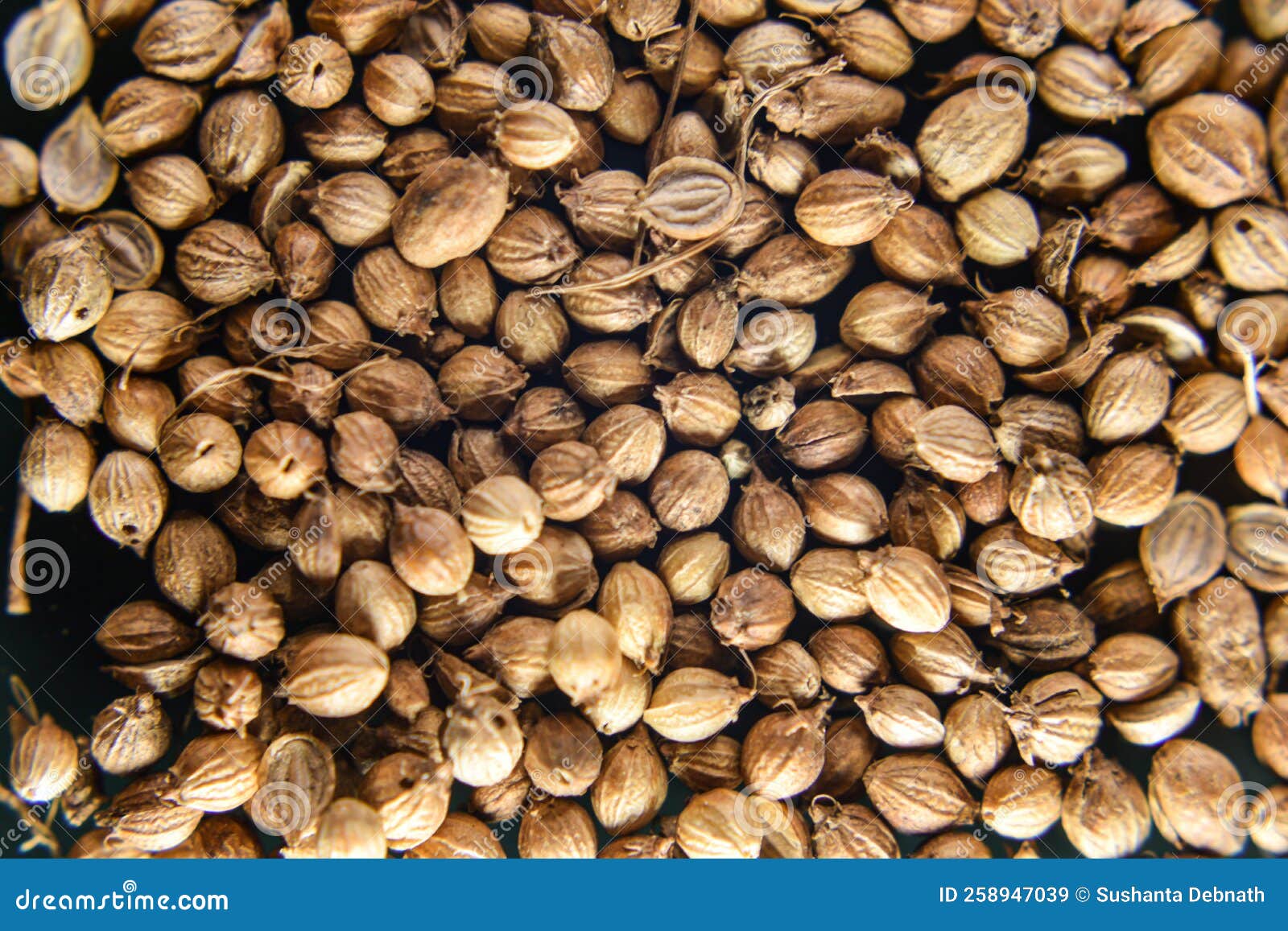 Sack Whole Coriander Seeds stock image. Image of dunga - 258947039