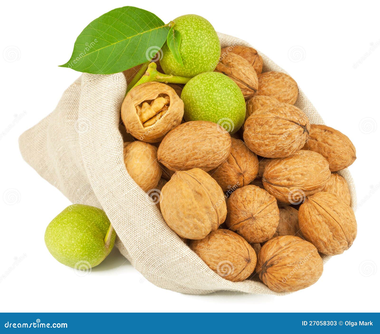 Whole Walnut Royalty-Free Stock Image | CartoonDealer.com #27748144