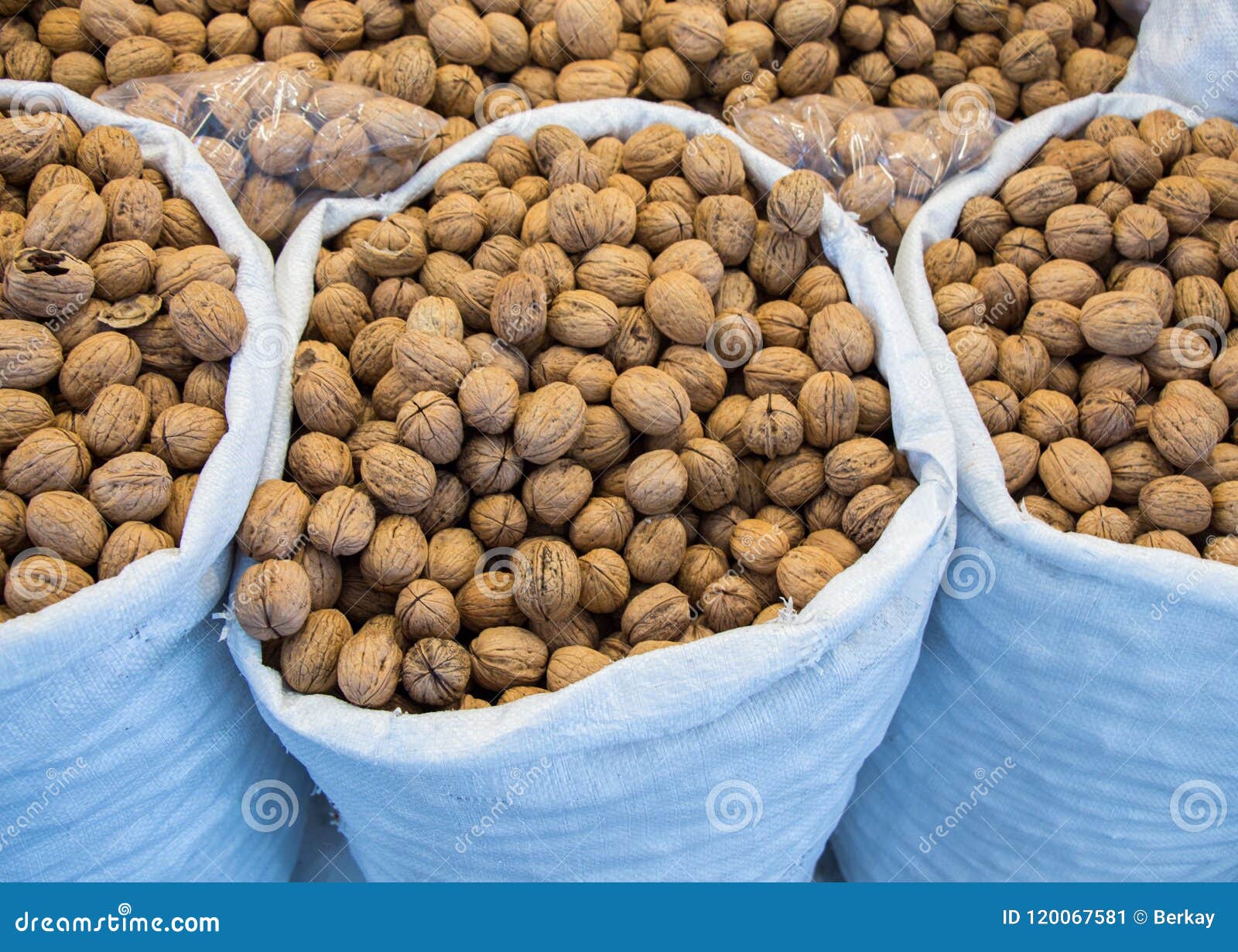 Sack of Whole Walnuts with Hard Nutshells Stock Image - Image of ...