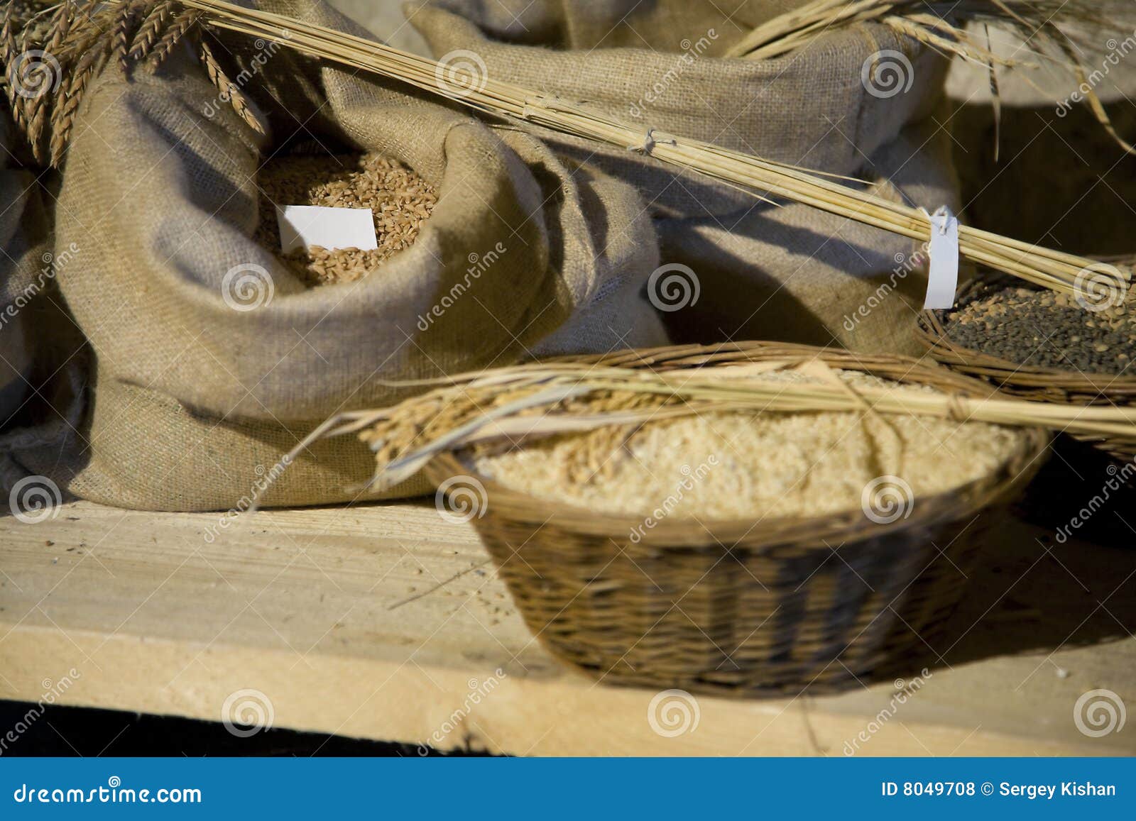 173 Wheat Maze Stock Photos - Free & Royalty-Free Stock Photos from ...
