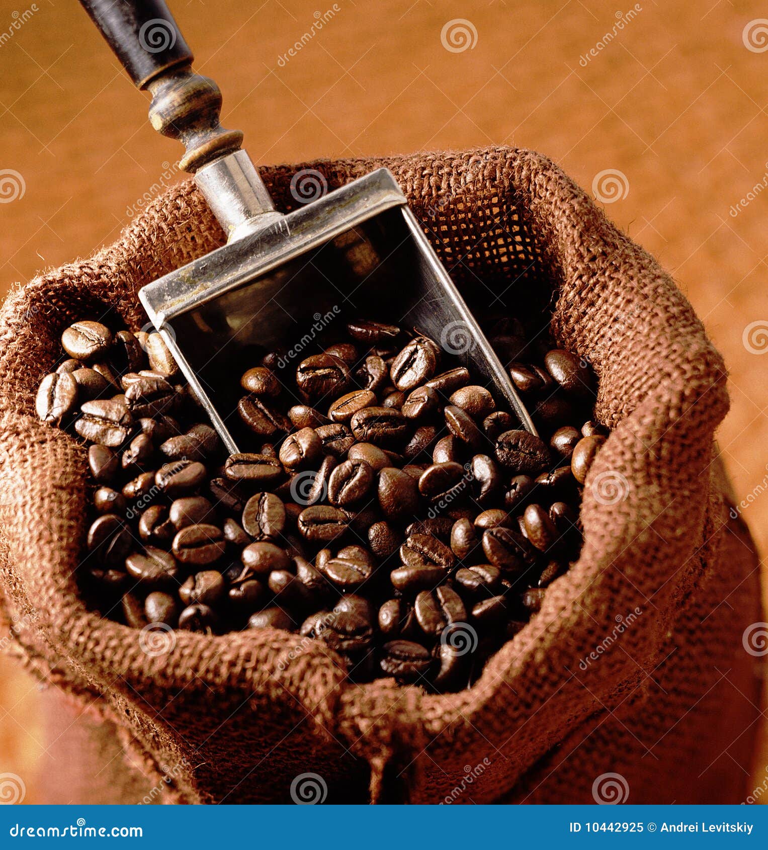 Sacking Bag with Coffee Beans Stock Image - Image of texture, lots ...