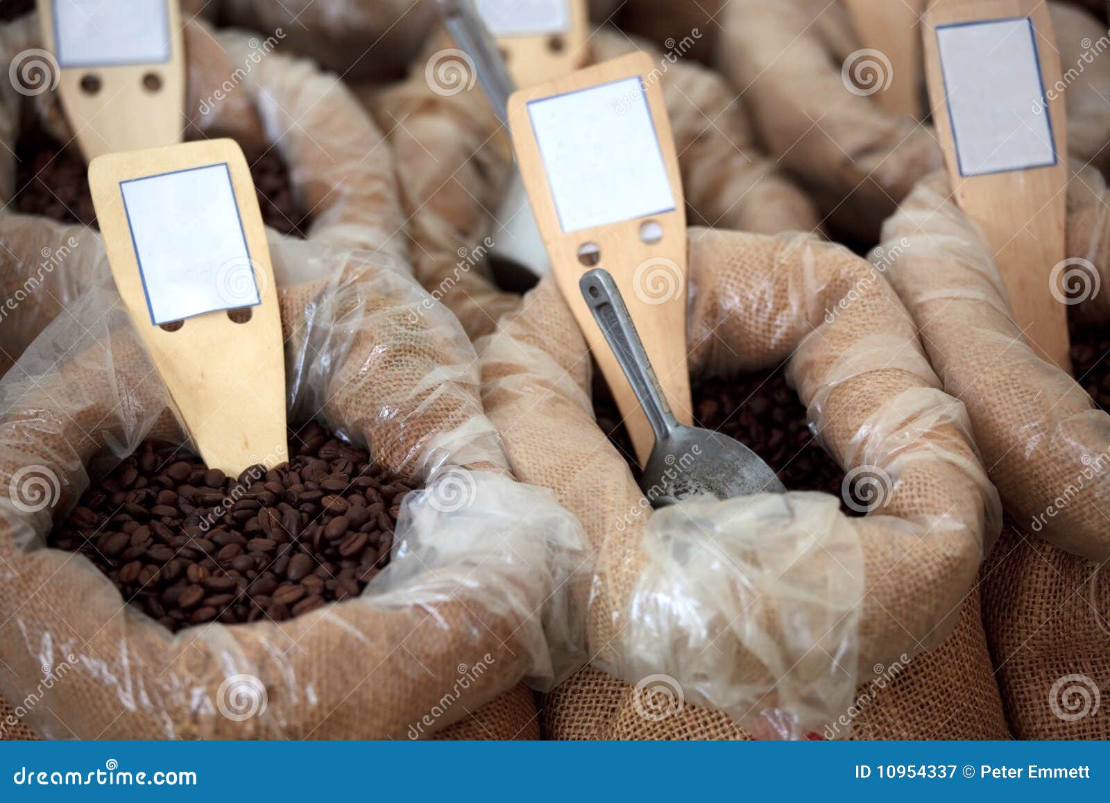 Sacks of Coffee Beans stock image. Image of isolated - 10954337