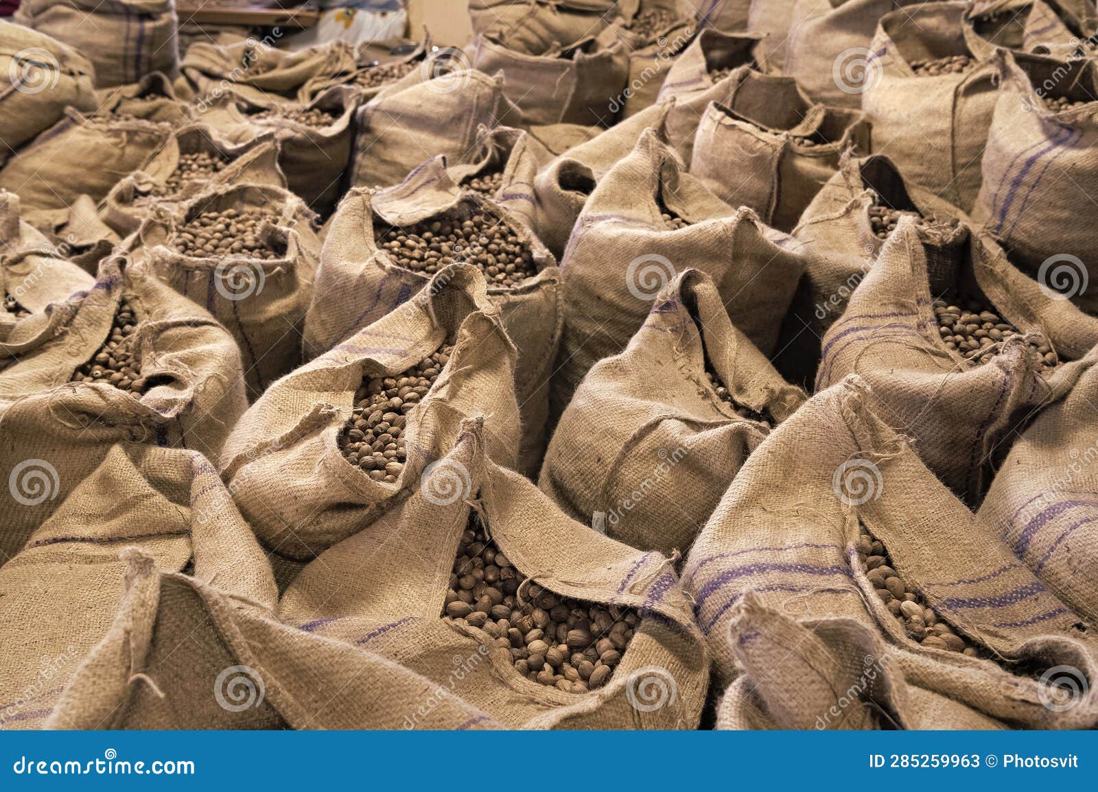 Sacks Full of Nutmeg. Sacks with Nutmeg. Sacks and Nutmeg Stock Image ...