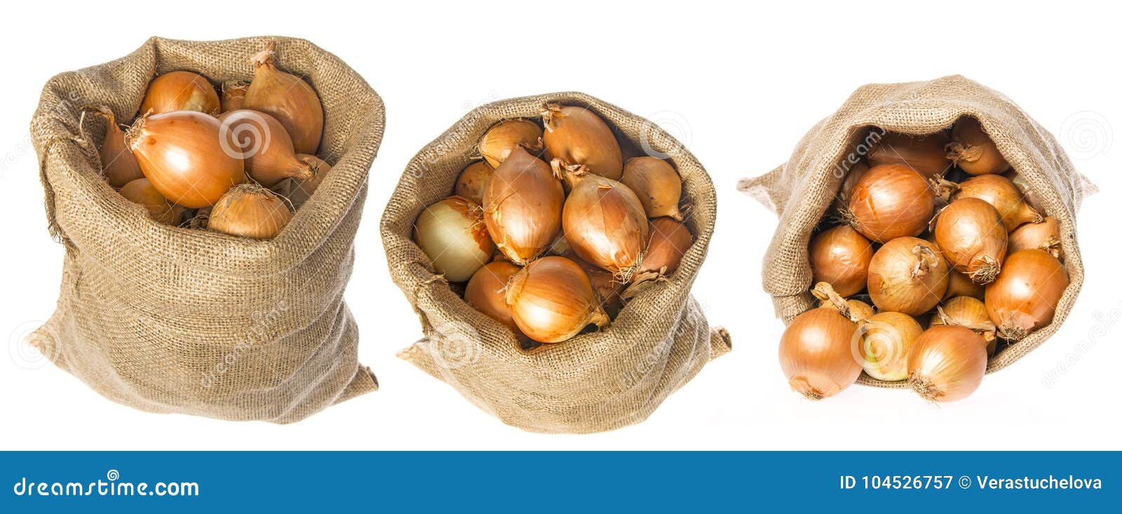 A sacks with onion stock image. Image of harvest, closeup - 104526757