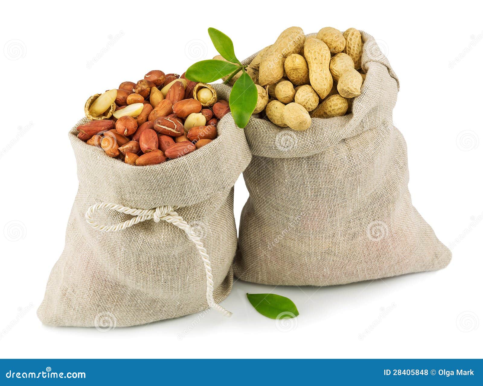 Sacks of Peanut with Green Leaves Stock Photo - Image of nuts, nature ...