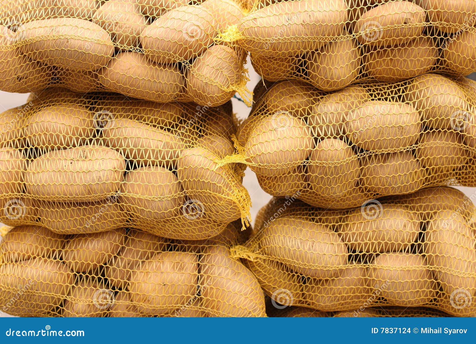 A sacks of potatoes stock photo. Image of farming, potatoes - 7837124