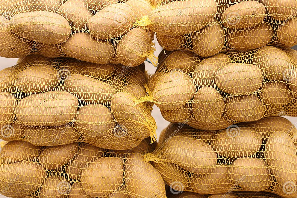 A sacks of potatoes stock photo. Image of farming, potatoes - 7837124